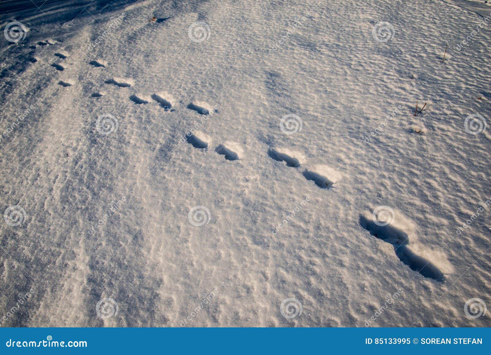 Winter in the mountains stock image. Image of nature - 85133995