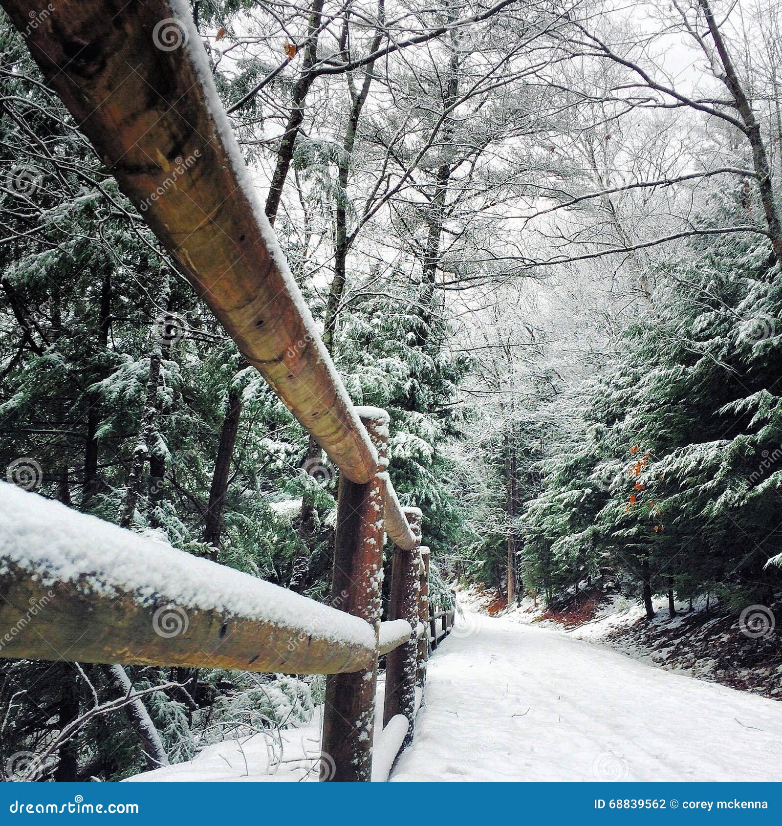 Winter wilderness walk stock photo. Image of path, snow - 68839562