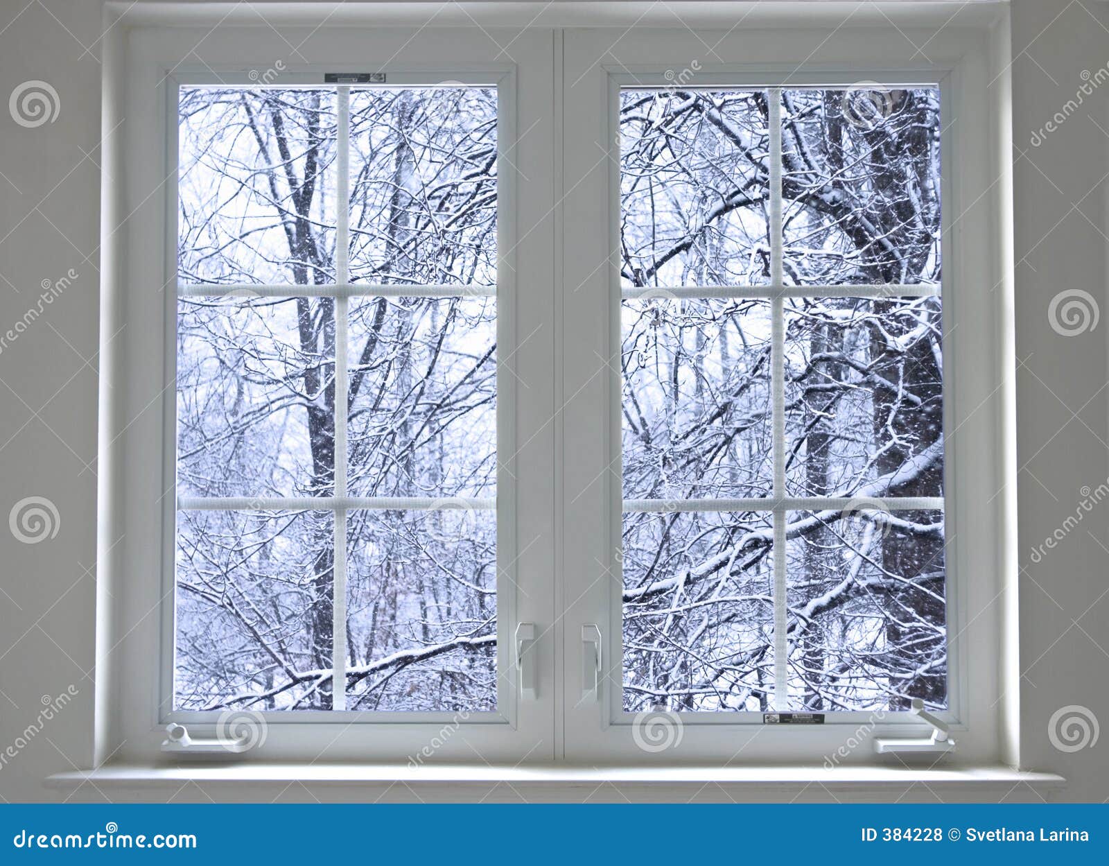 Winter window stock photo. Image of brunches, frame, covered - 384228