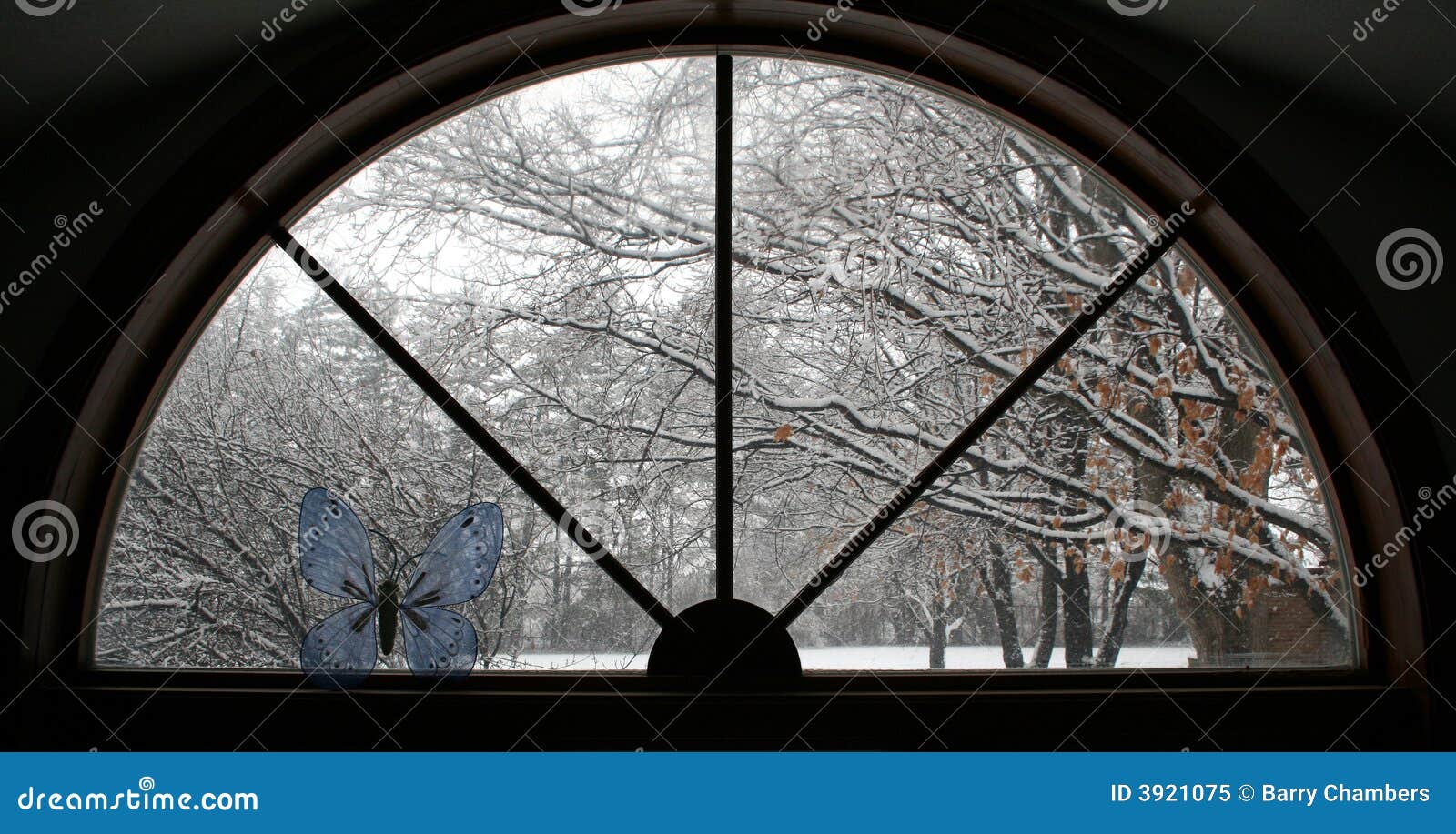 Winter Window stock image. Image of garden, snow, branches - 3921075