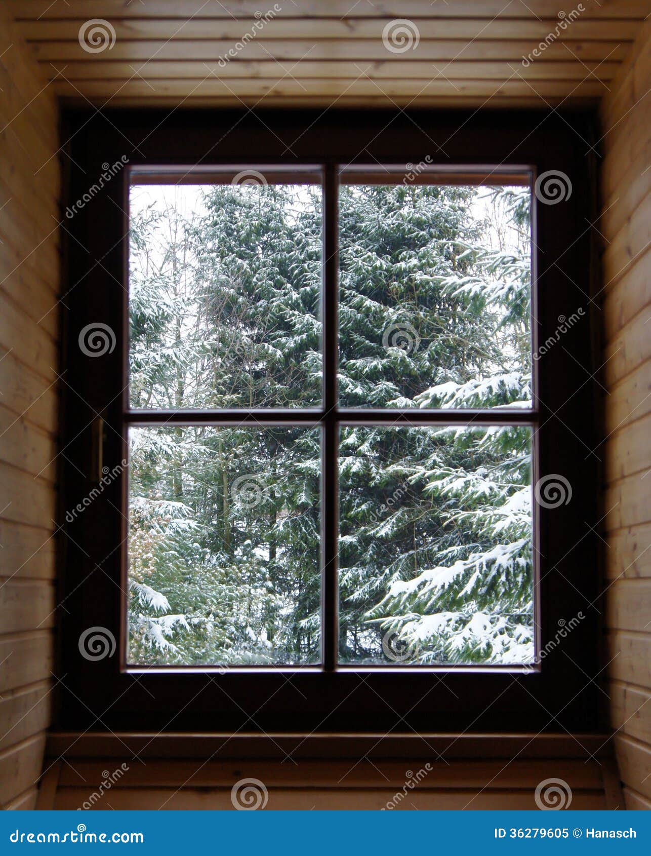 Winter window stock image. Image of covered, covering - 36279605
