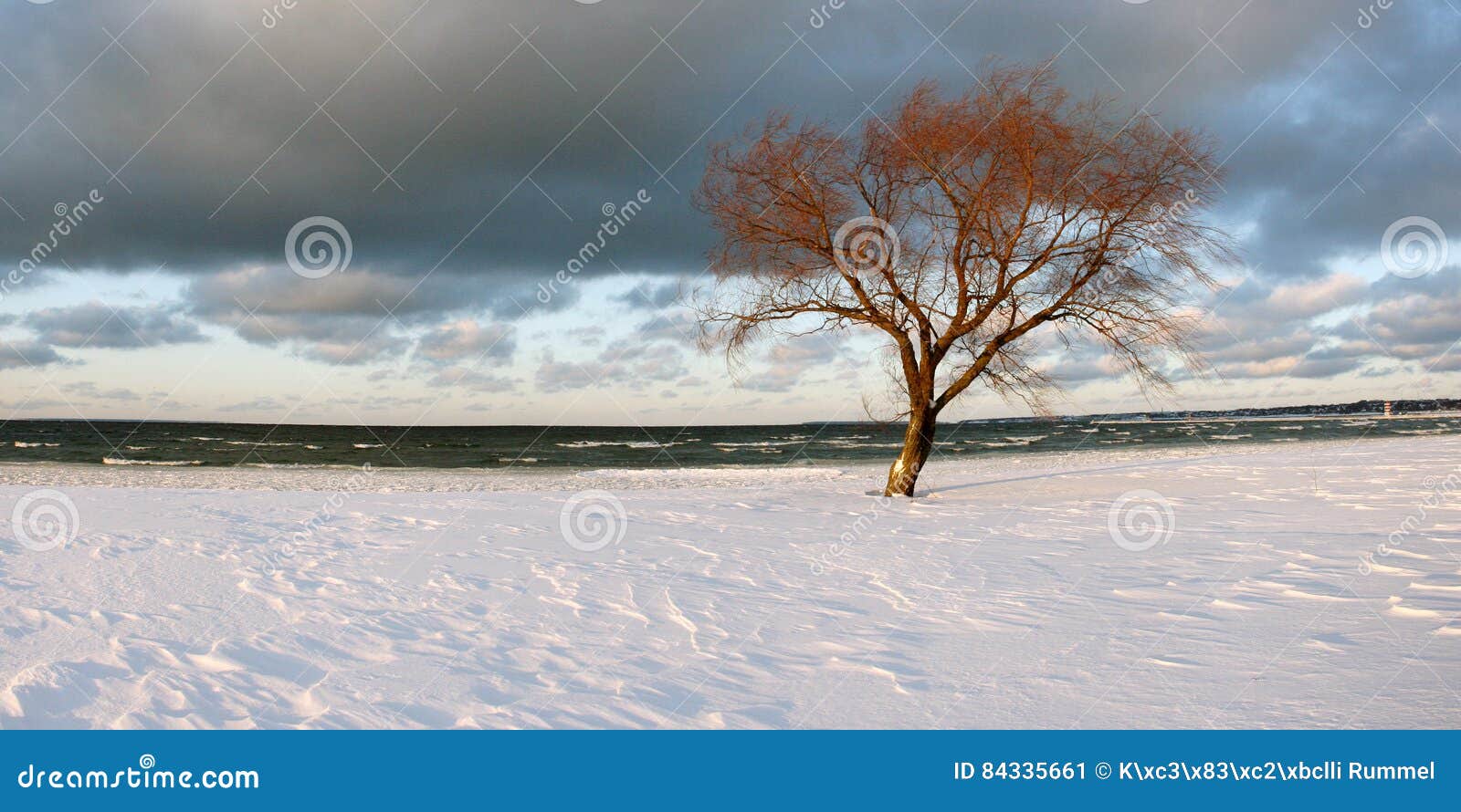 Winter winds and snow stock image. Image of wind, winter - 84335661