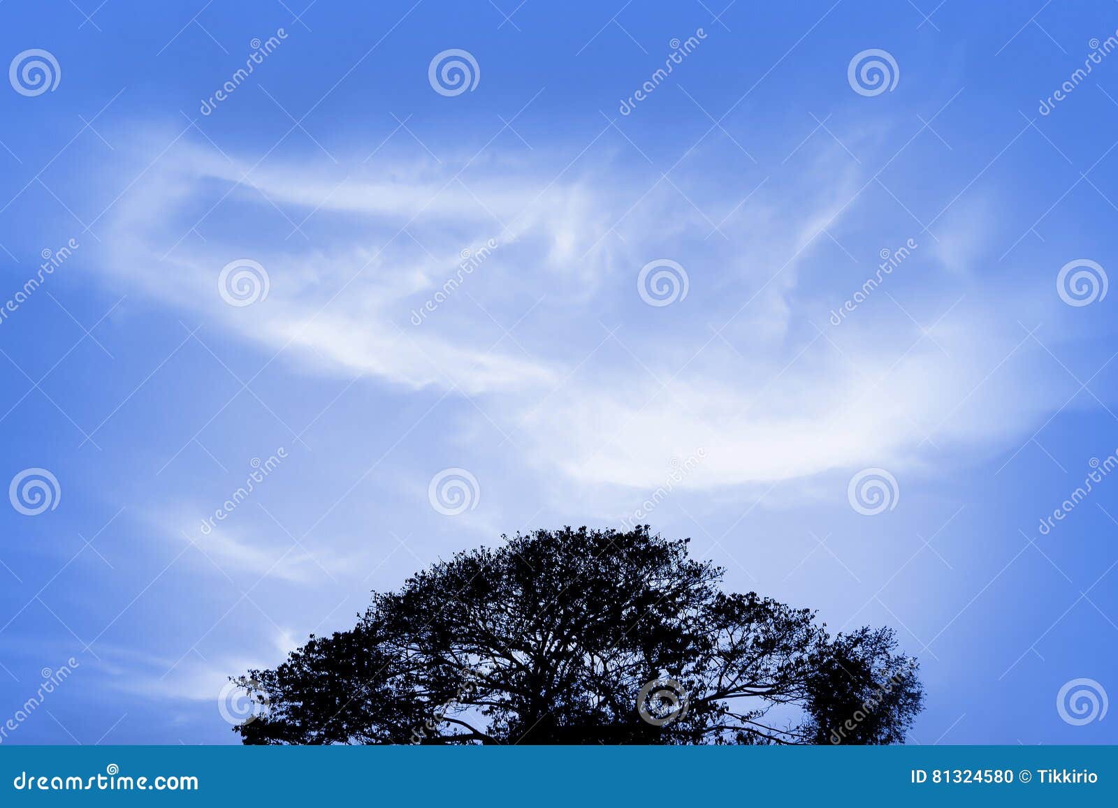 Winter Windy Sky Background With White Clouds Black Tree Silhouette ...