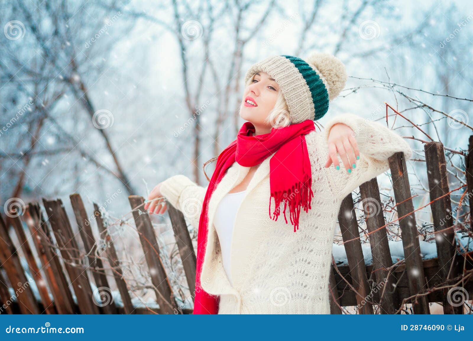 Winter Woman portrait stock photo. Image of attractive - 28746090