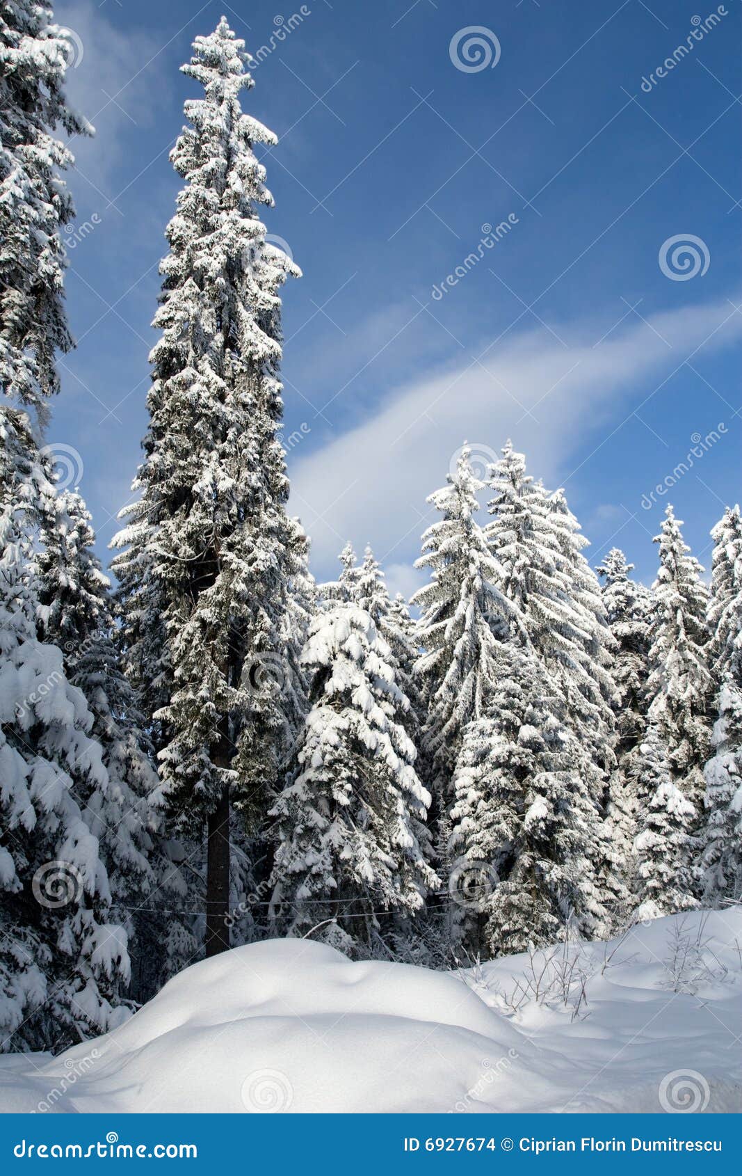 5,281 Winter Wonder Landscape Stock Photos - Free & Royalty-Free Stock ...