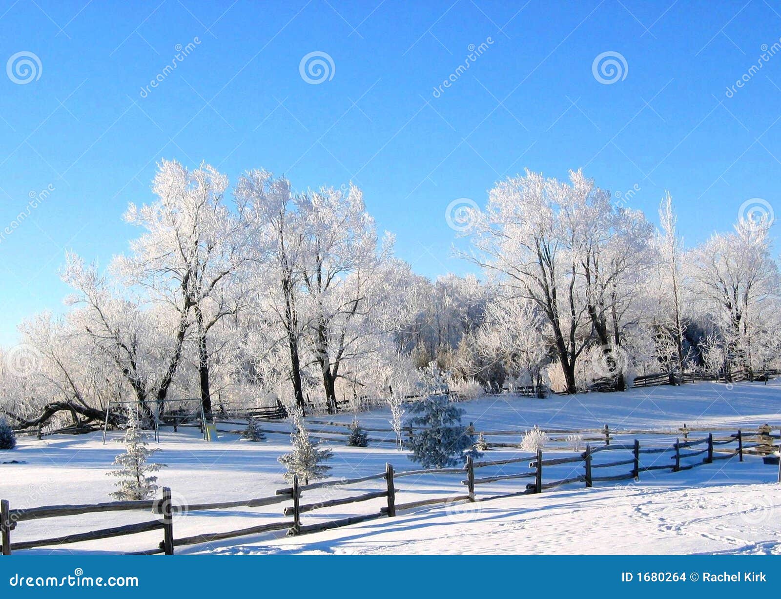 Winter Wonderland stock photo. Image of ontario, blue - 1680264