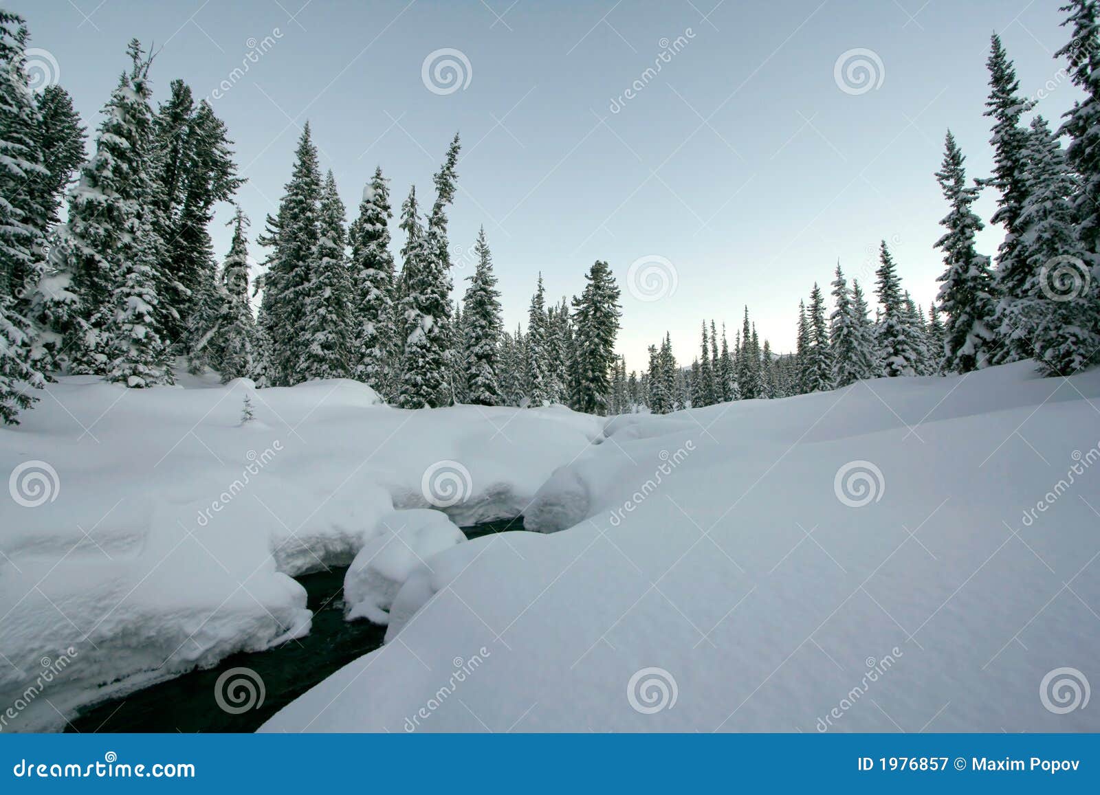 272 Sunken Forest Mountains Stock Photos - Free & Royalty-Free Stock ...