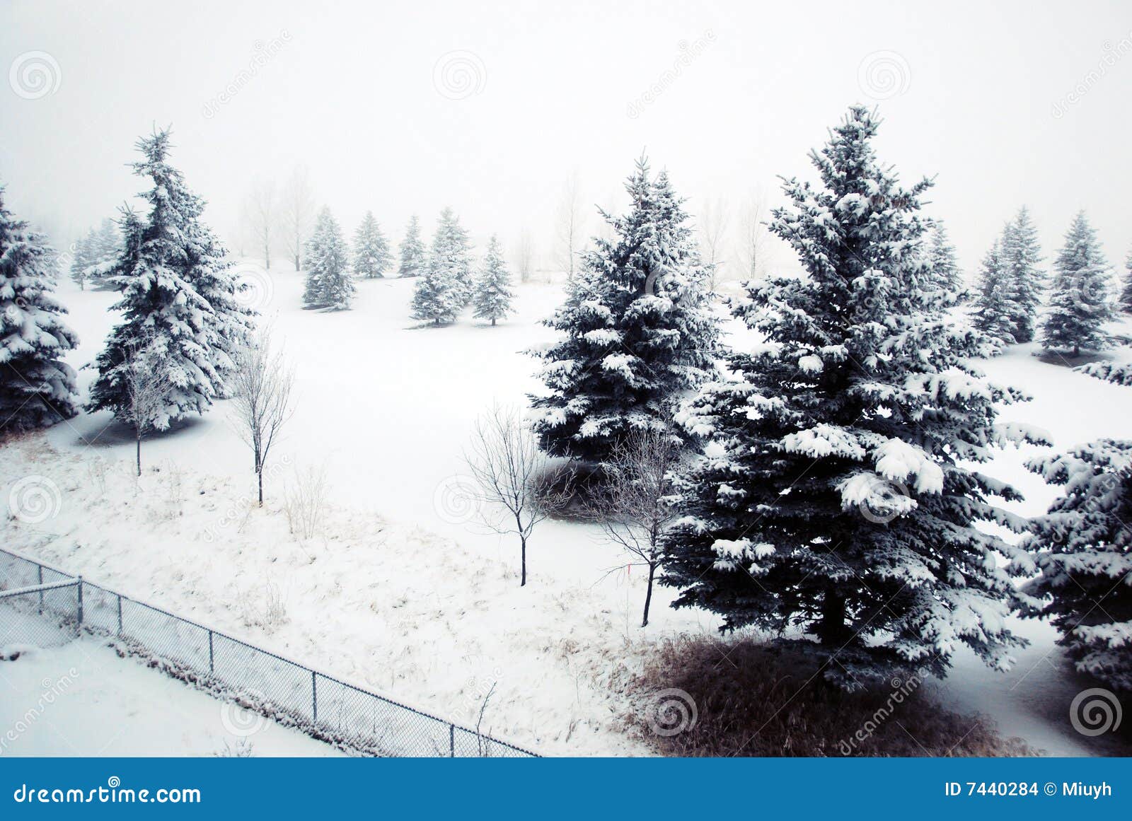 Calgary Winter Scenes Stock Photos - Free & Royalty-Free Stock Photos ...