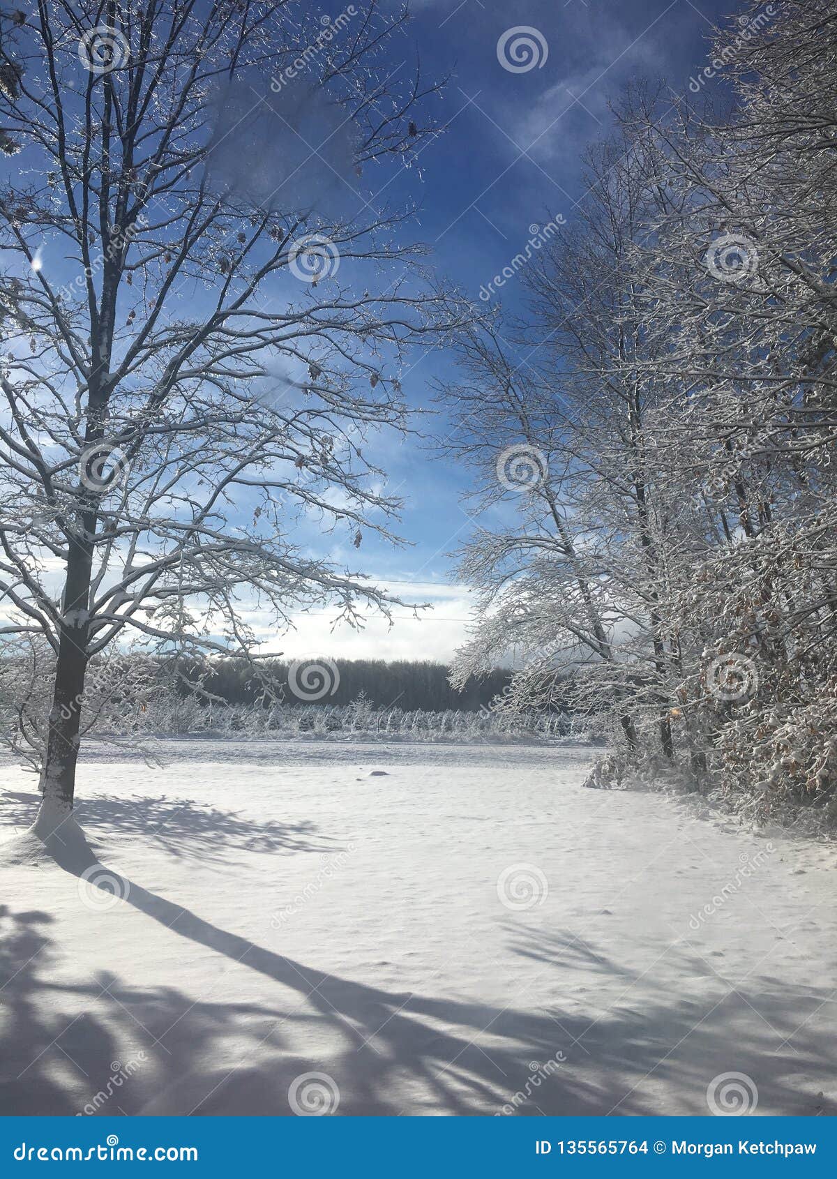Winter wonderland stock photo. Image of beautiful, winter - 135565764