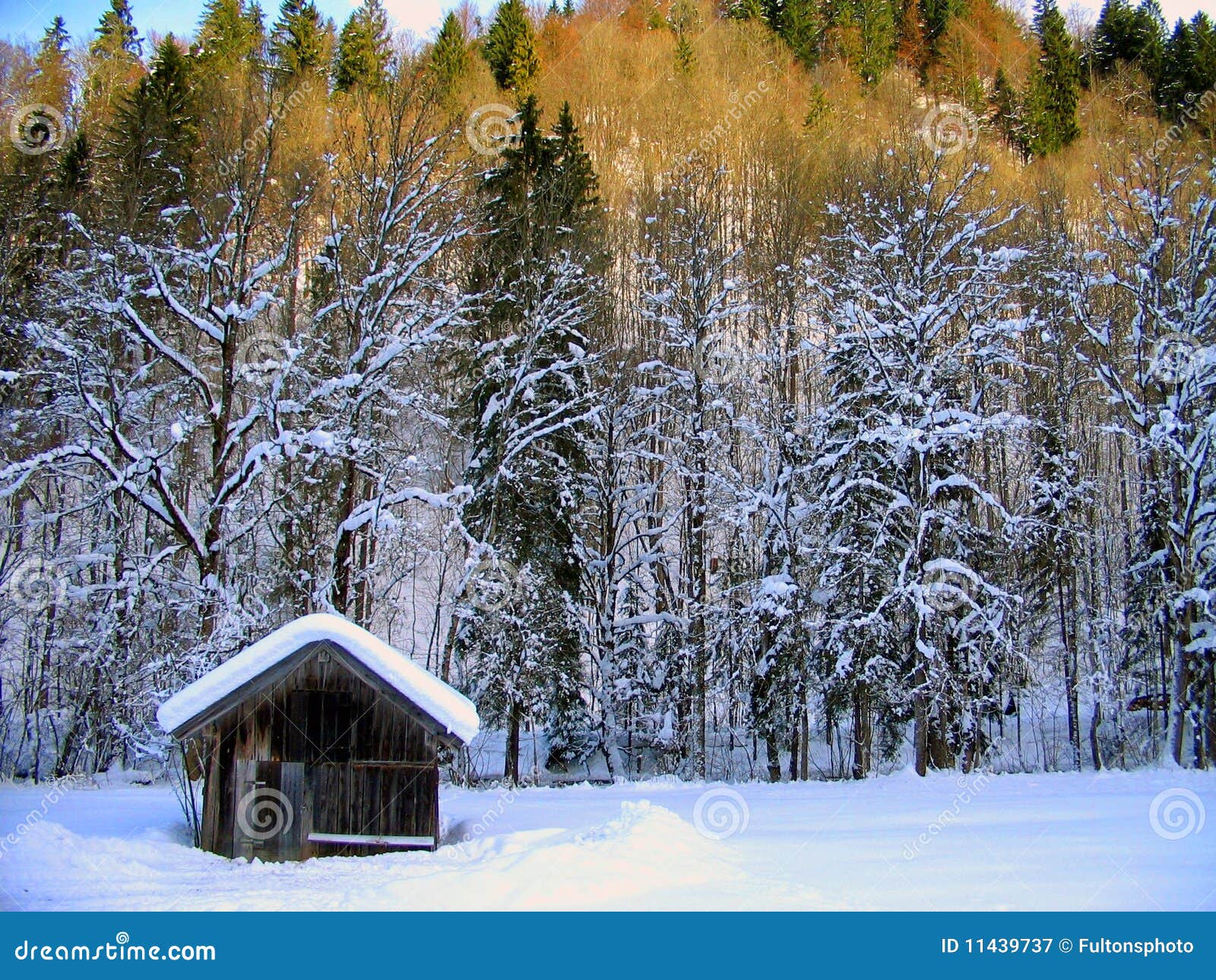 Winter Wonderland Landscape Stock Image - Image of outside, beauty ...