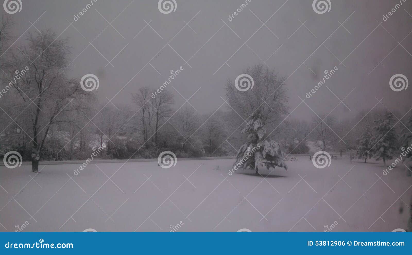 Winter wonderland stock photo. Image of snowy, pretty - 53812906