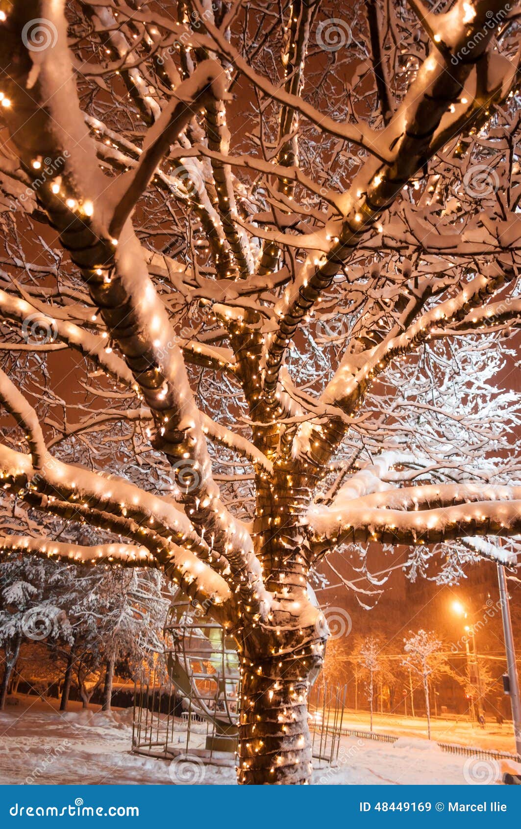 Winter wonderland stock image. Image of city, tree, romania - 48449169