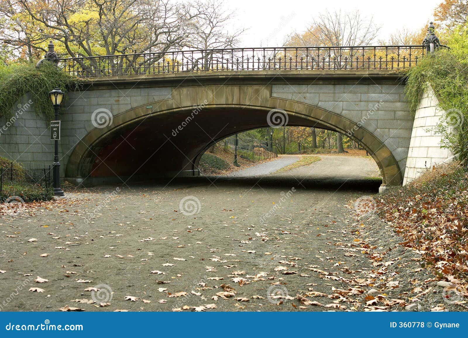 Winterdale Arch Picture. Image: 360778