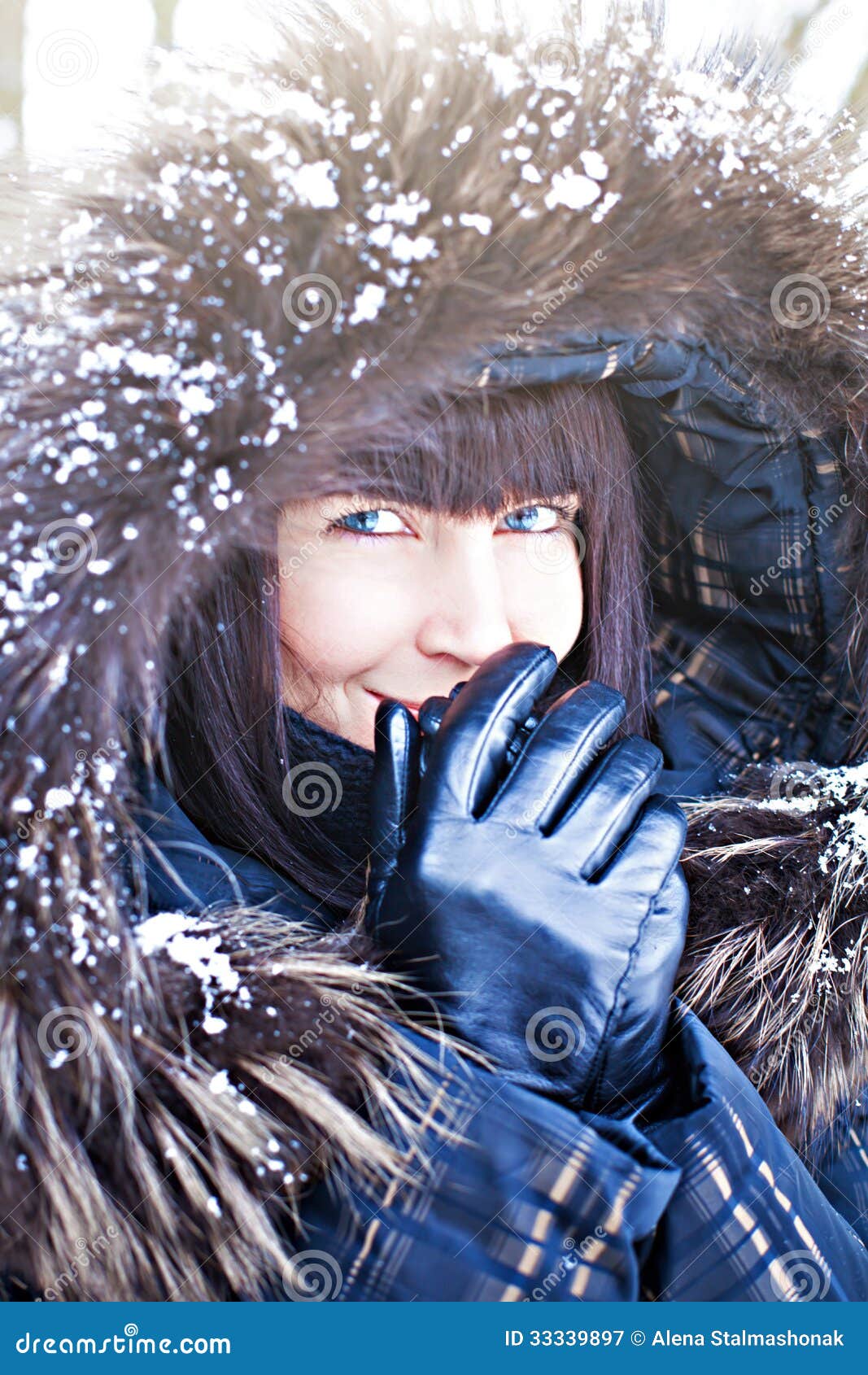 Winterfrau stockbild. Bild von schönheit, eingefroren - 33339897