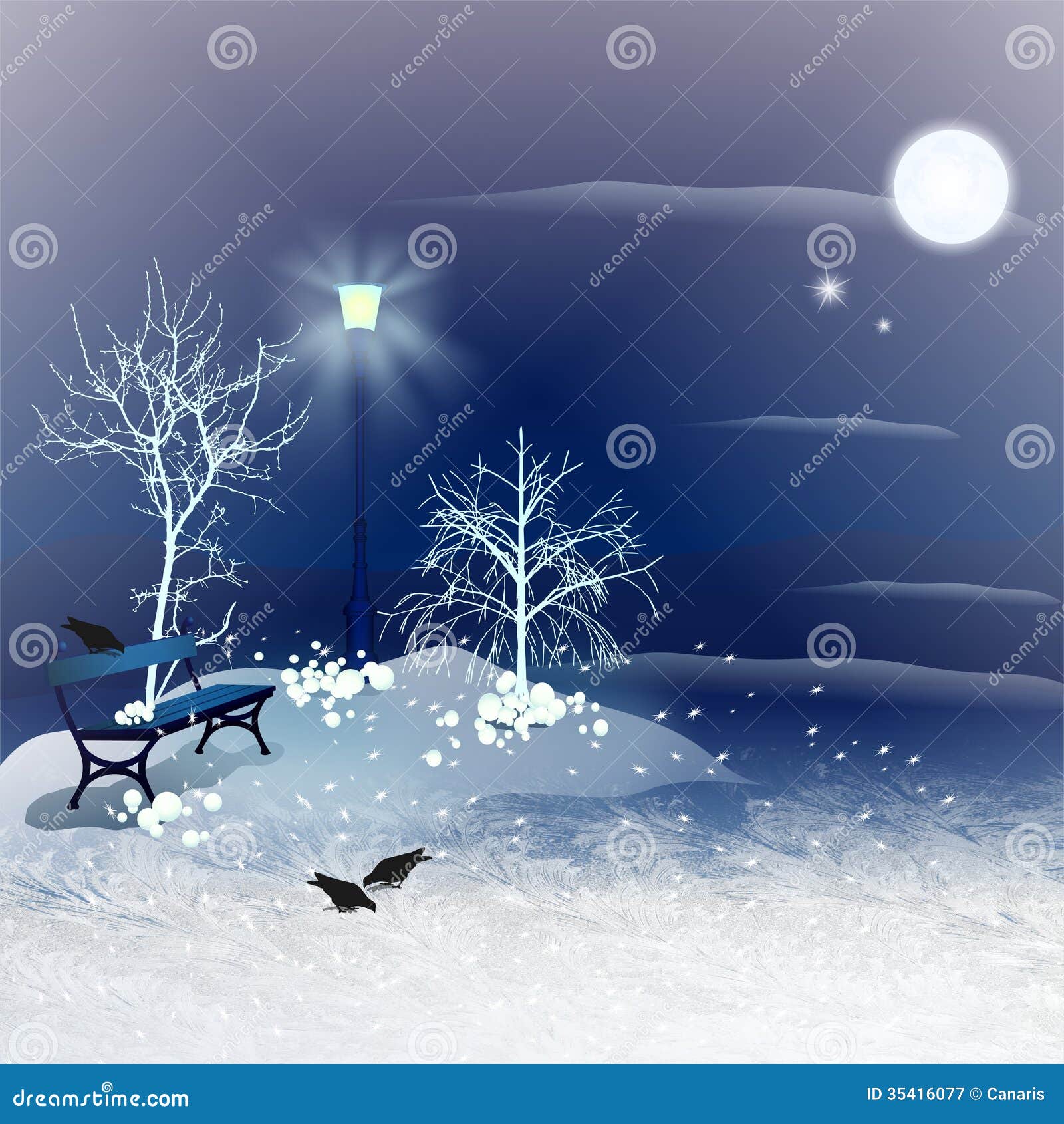 Winternacht stock abbildung. Illustration von nacht, park - 35416077