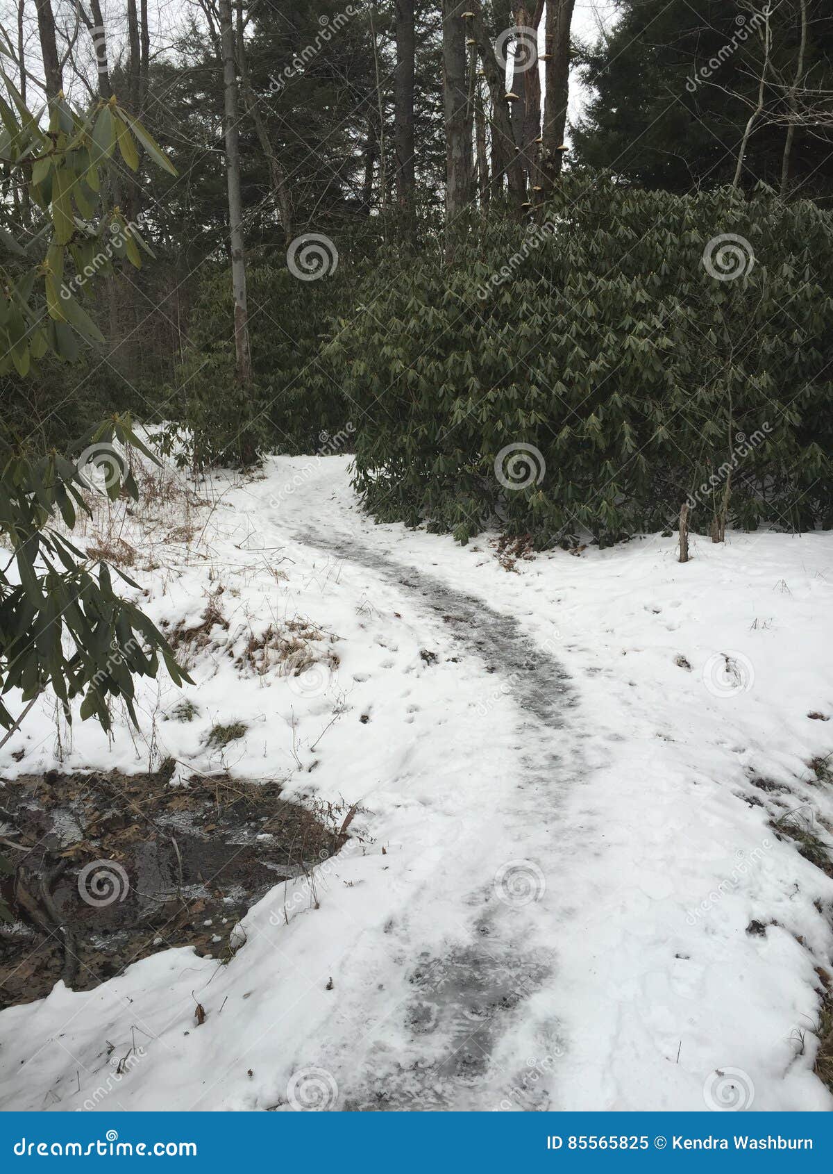 Winters path stock image. Image of bellefonte, chilly - 85565825