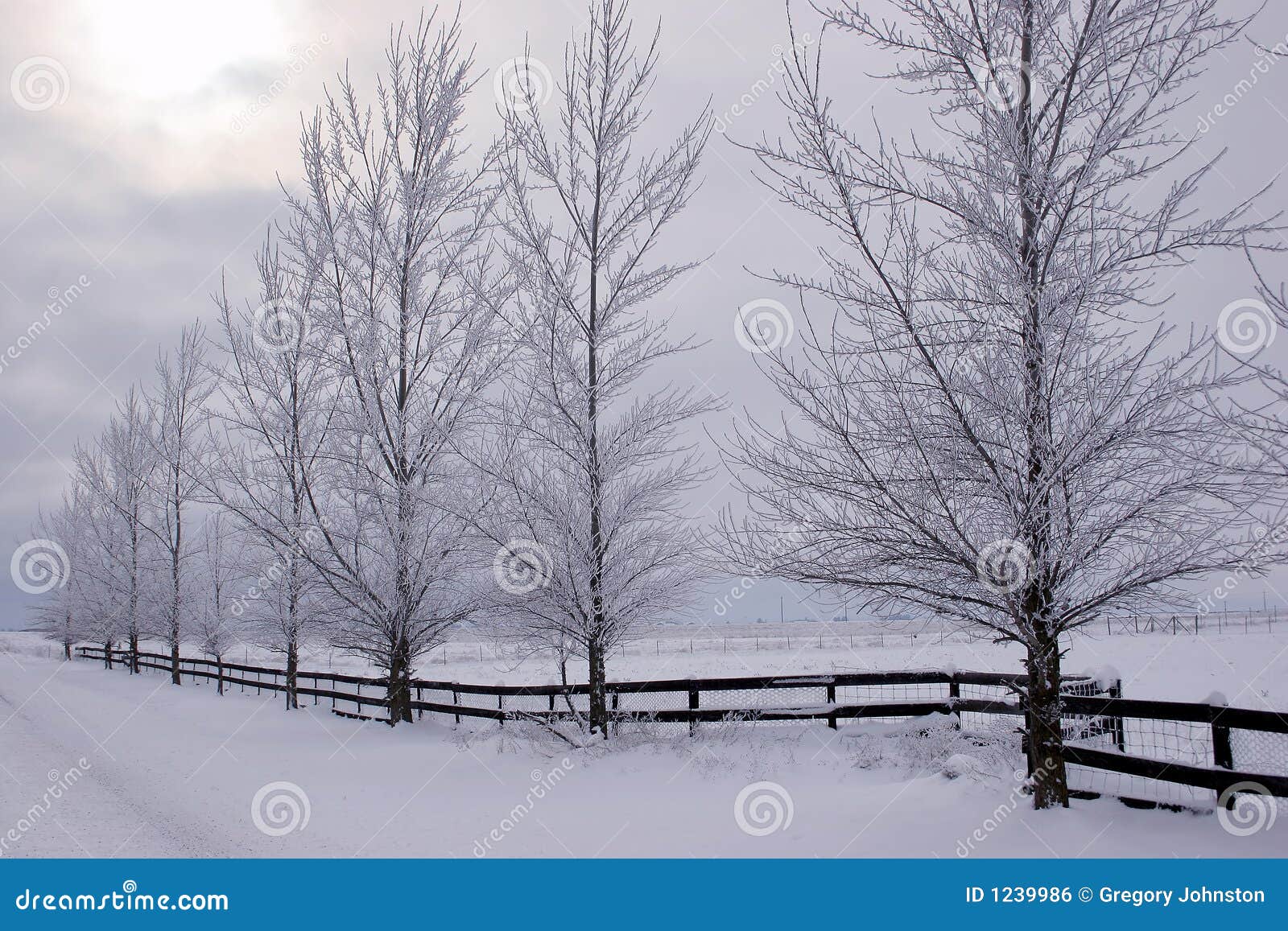 Winterscape. stock photo. Image of season, farm, country - 1239986