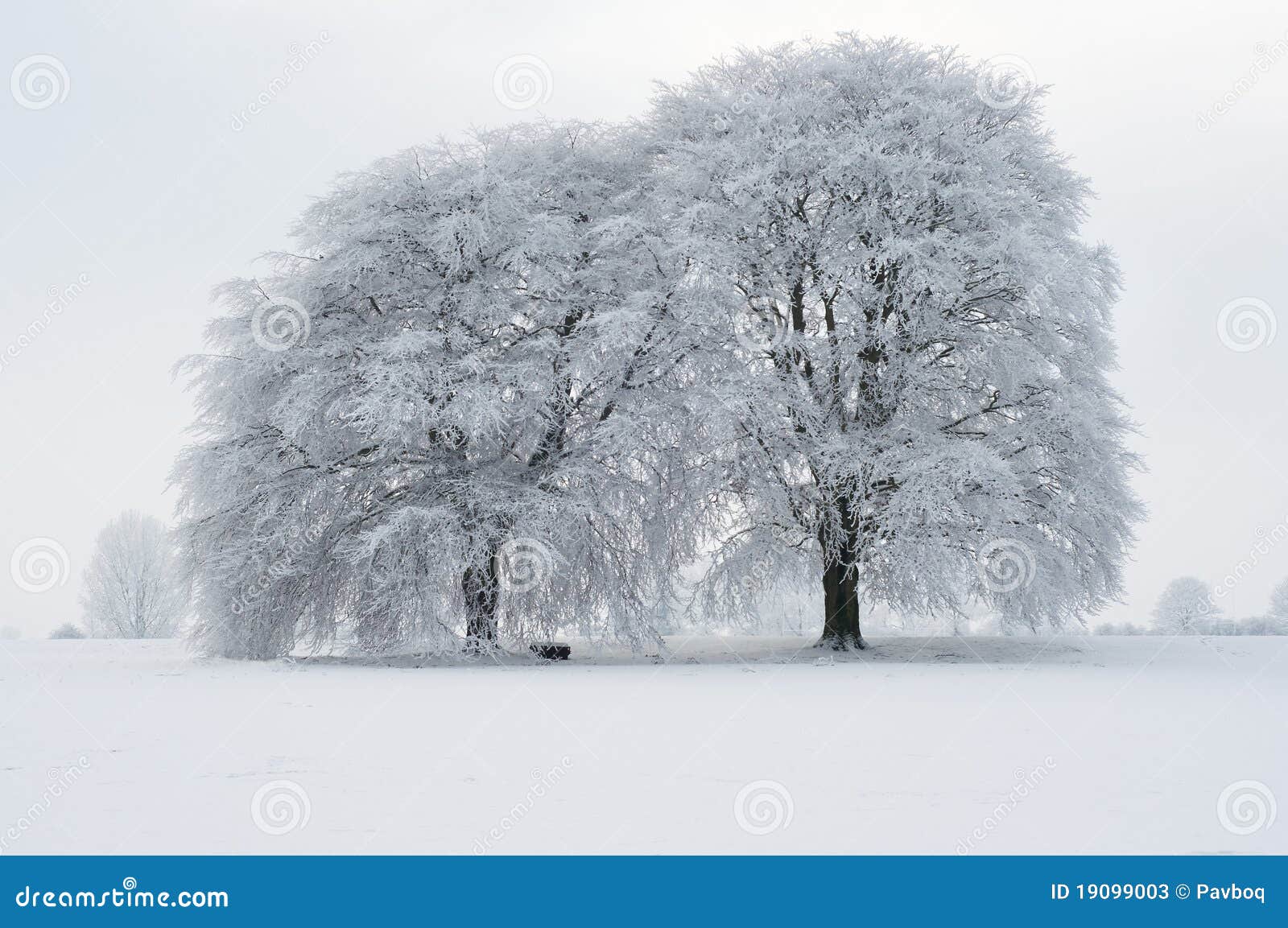 Winterscape stock image. Image of scenery, landscape - 19099003