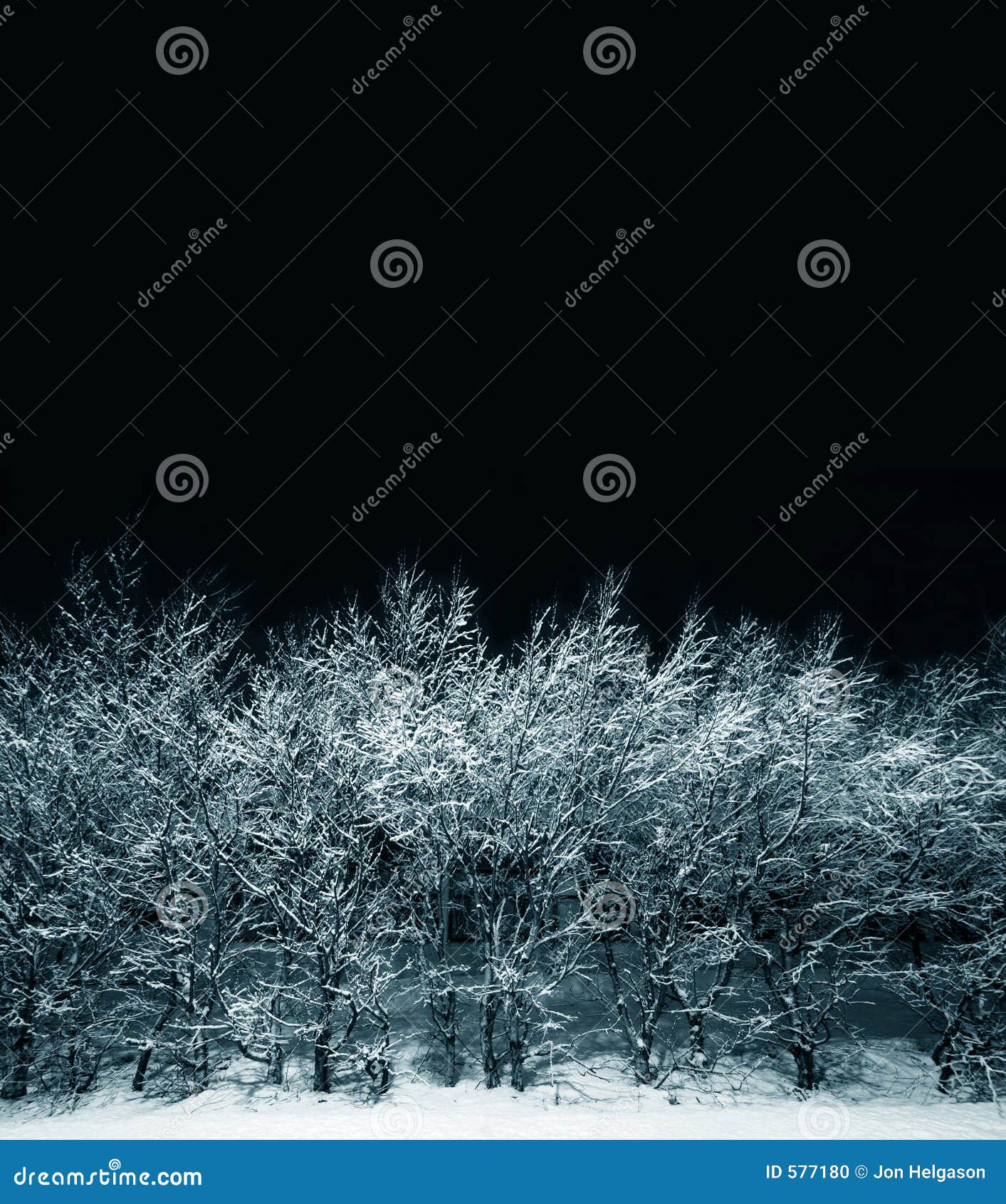 Winterscape stock photo. Image of black, cold, evening - 577180
