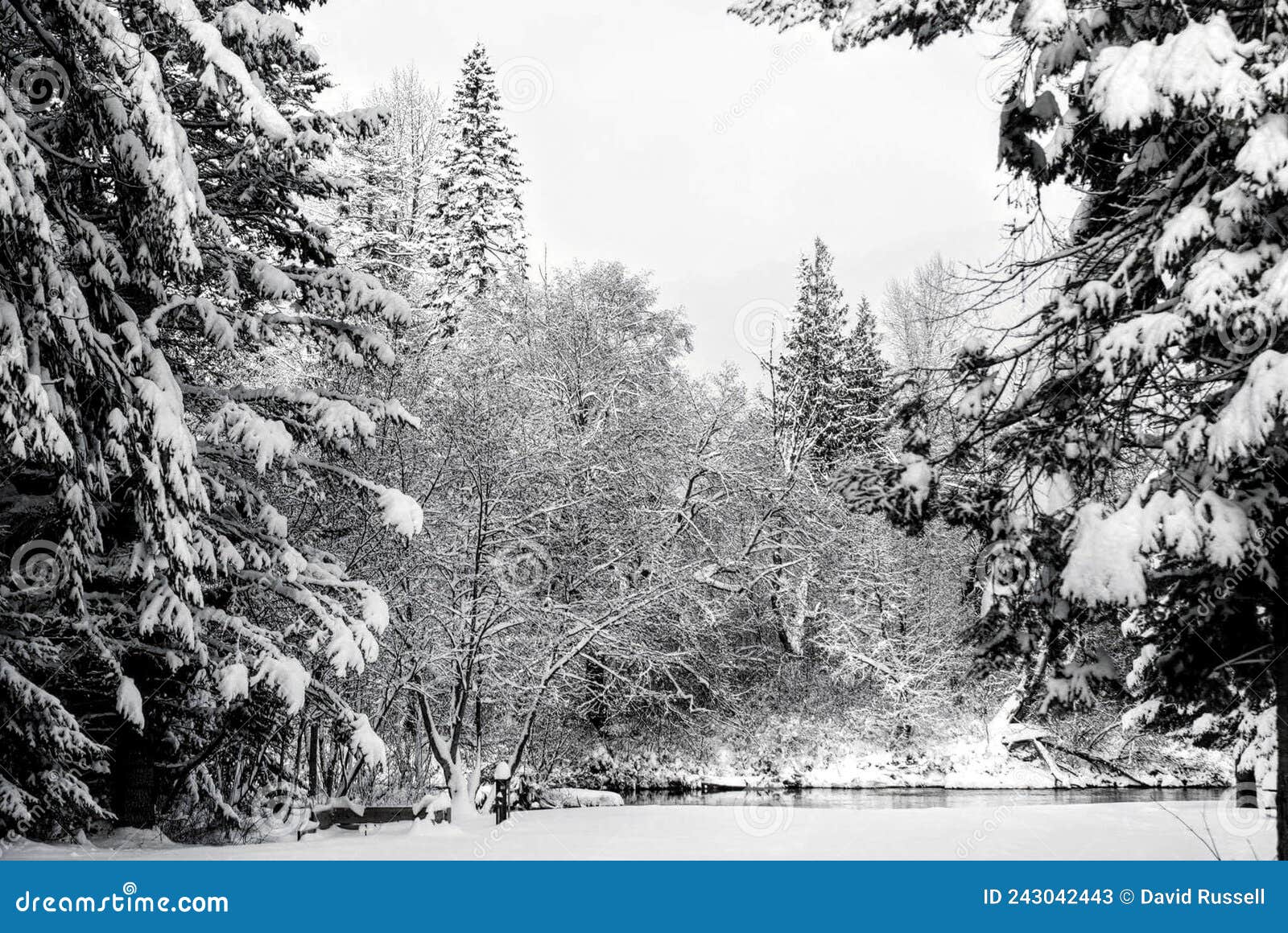 Winterscape stock image. Image of snowcap, winter, christmas - 243042443