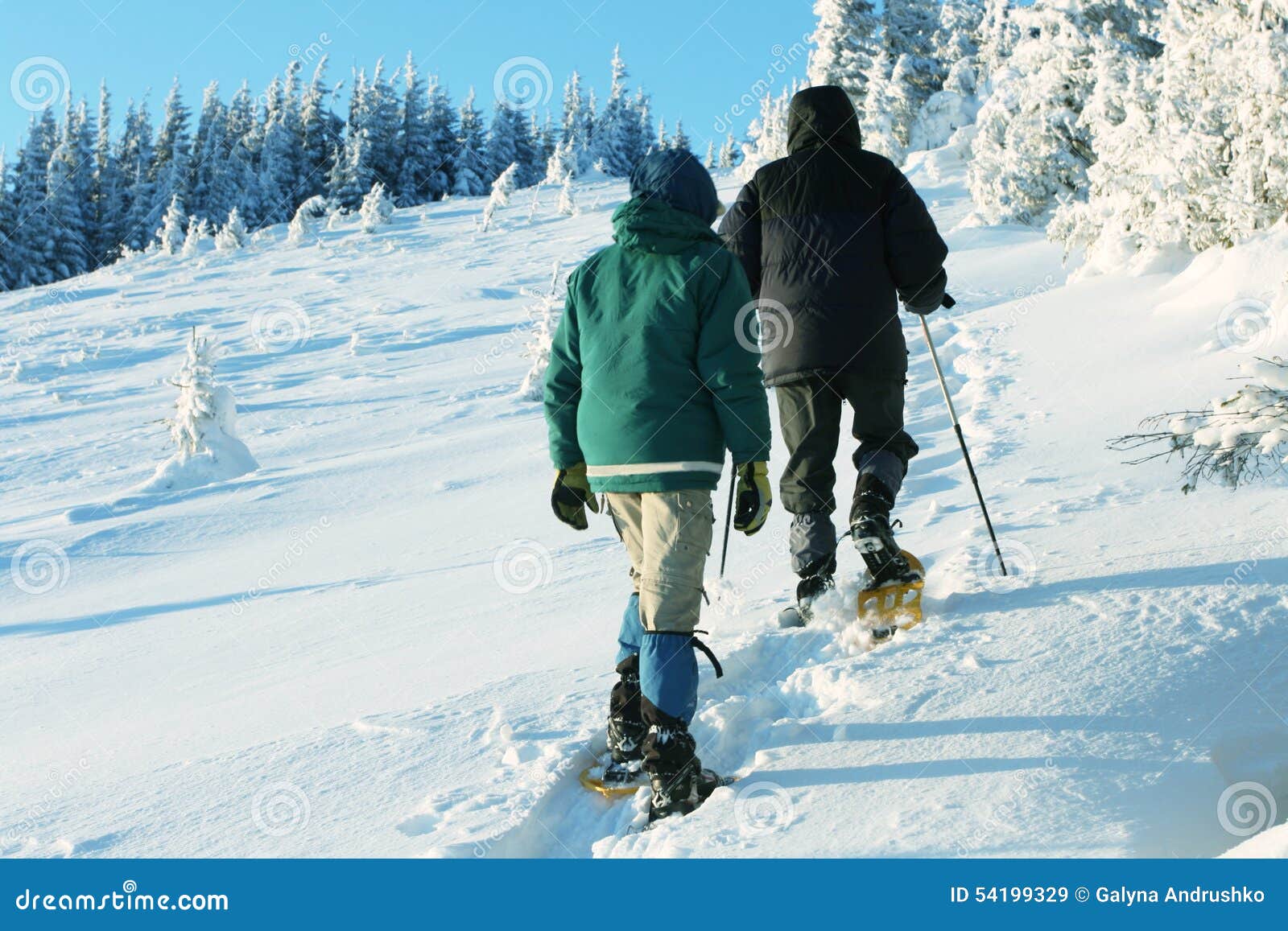 Wintersport stockbild. Bild von sport, junge, männer - 54199329