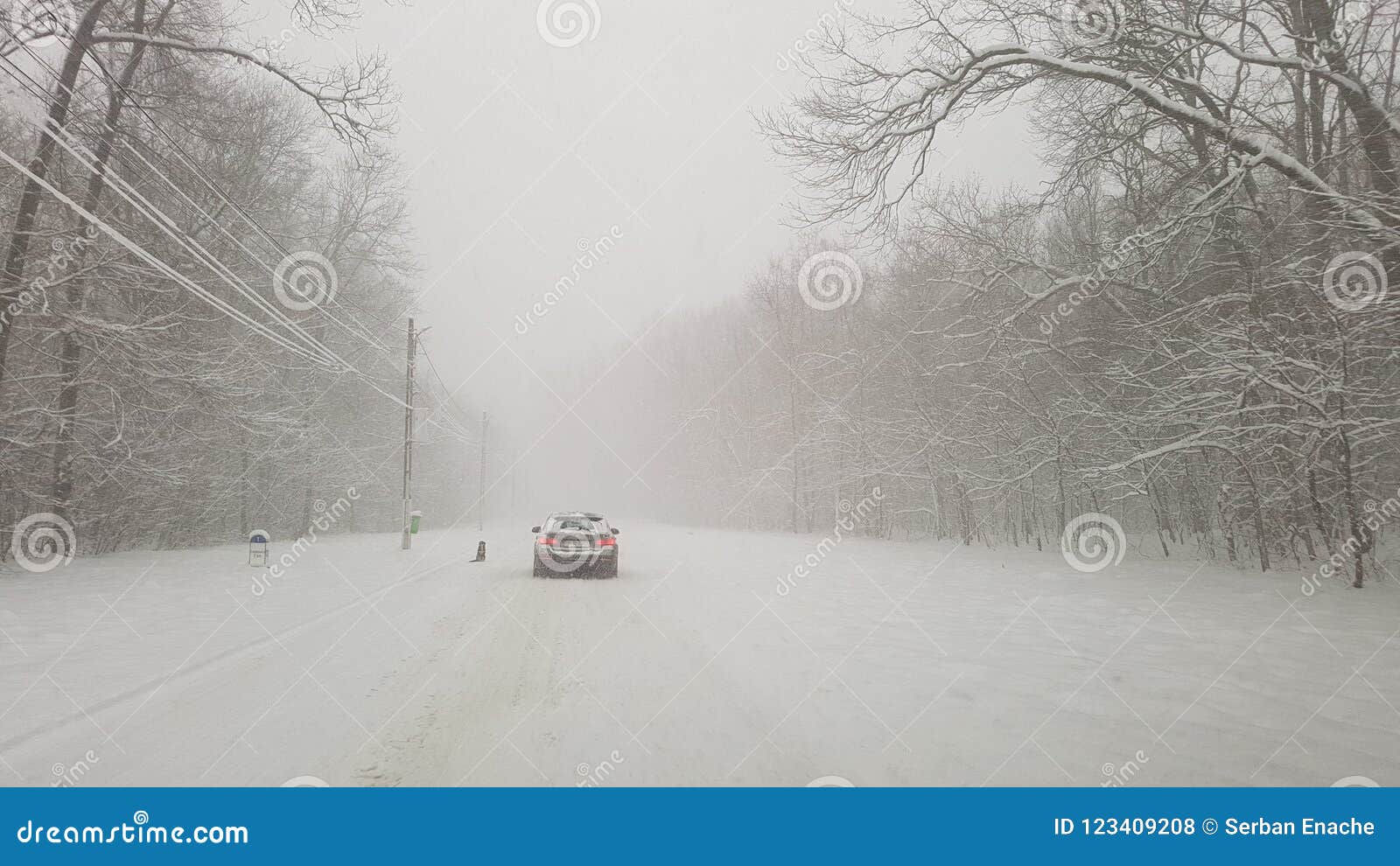 Wintersturm in Ostratu-Wald Redaktionelles Stockfoto - Bild von reise ...