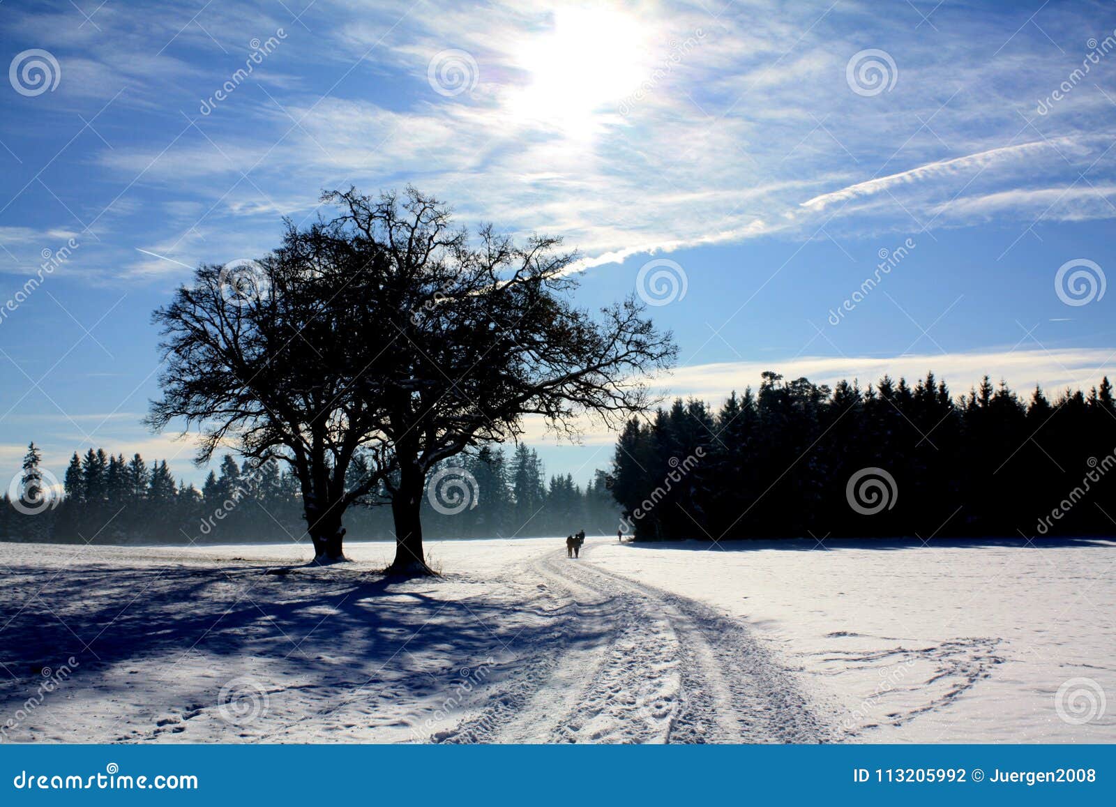 Wintertime arkivfoto. Bild av liggande, bavaria, snö - 113205992
