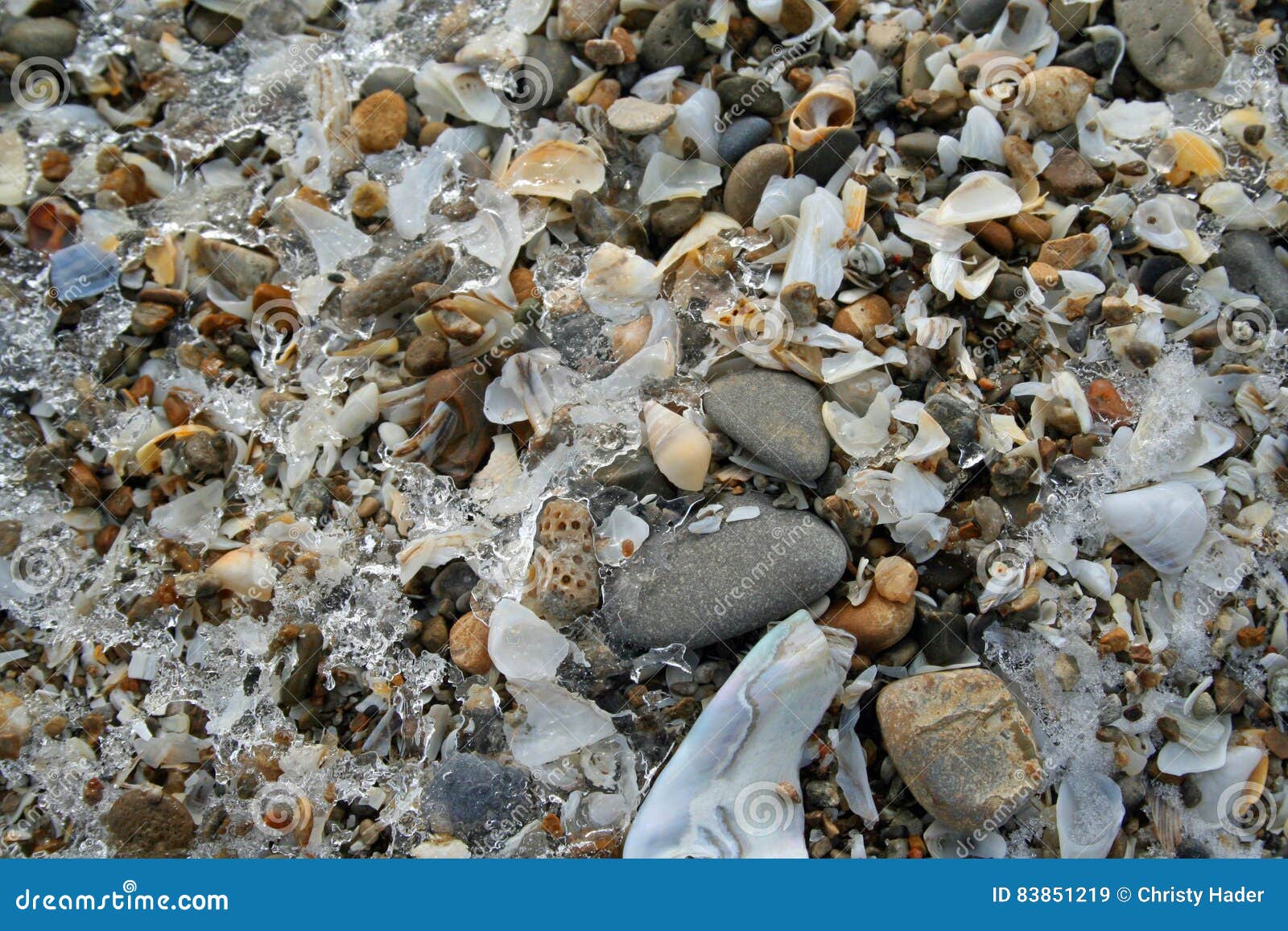 Wintery Lake Erie Shore stock image. Image of beach, ontario - 83851219