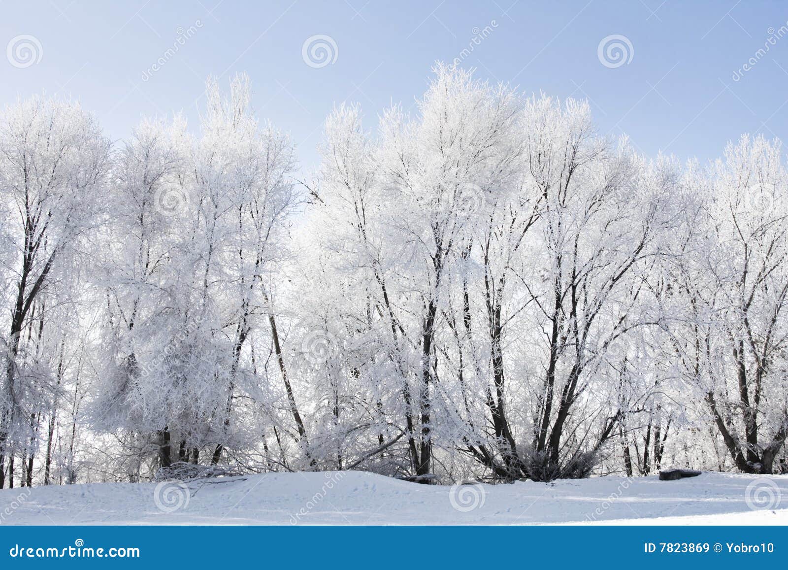 Wintery Landscape stock image. Image of snow, frosty, freezing - 7823869