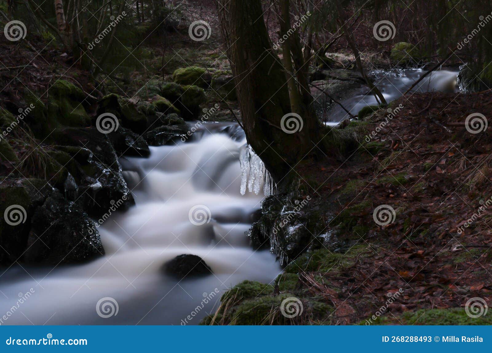 Flowing Water in a Stream in Winter Stock Image - Image of wintery ...