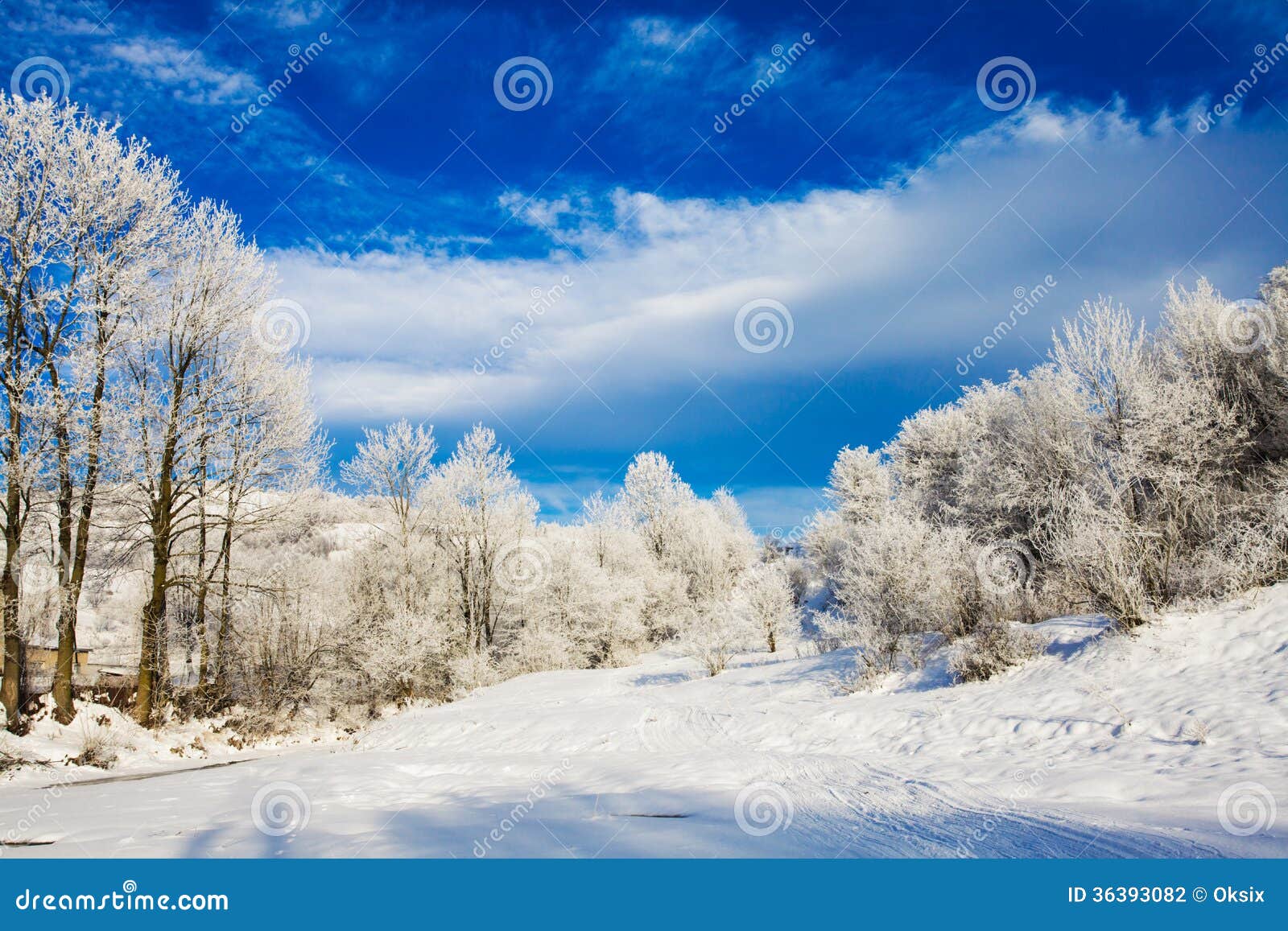 Wintre landscape stock photo. Image of christmas, hoarfrost - 36393082
