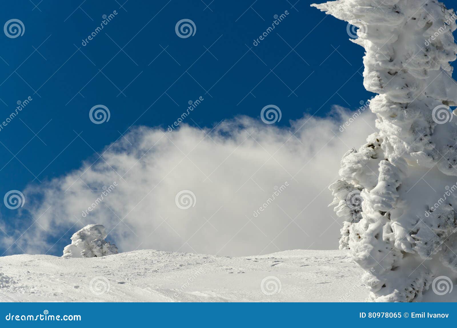 Wintry background stock image. Image of winter, blue - 80978065