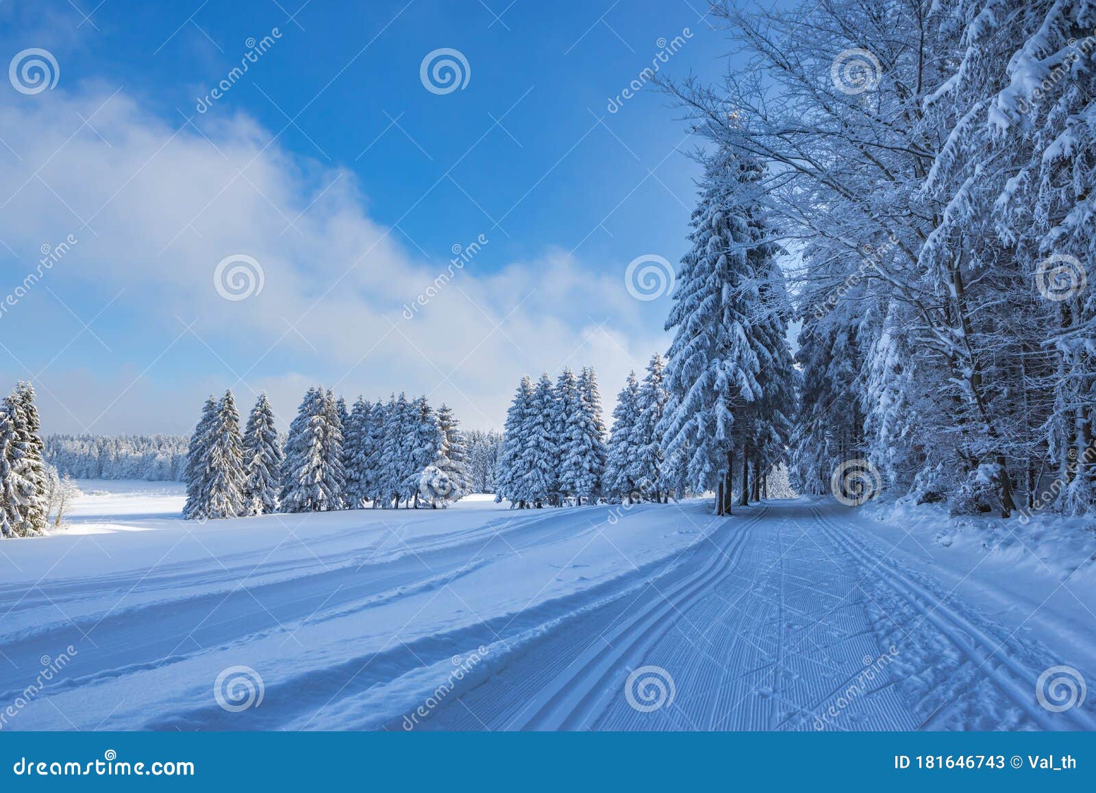 Wintry forest stock image. Image of nordic, mountains - 181646743