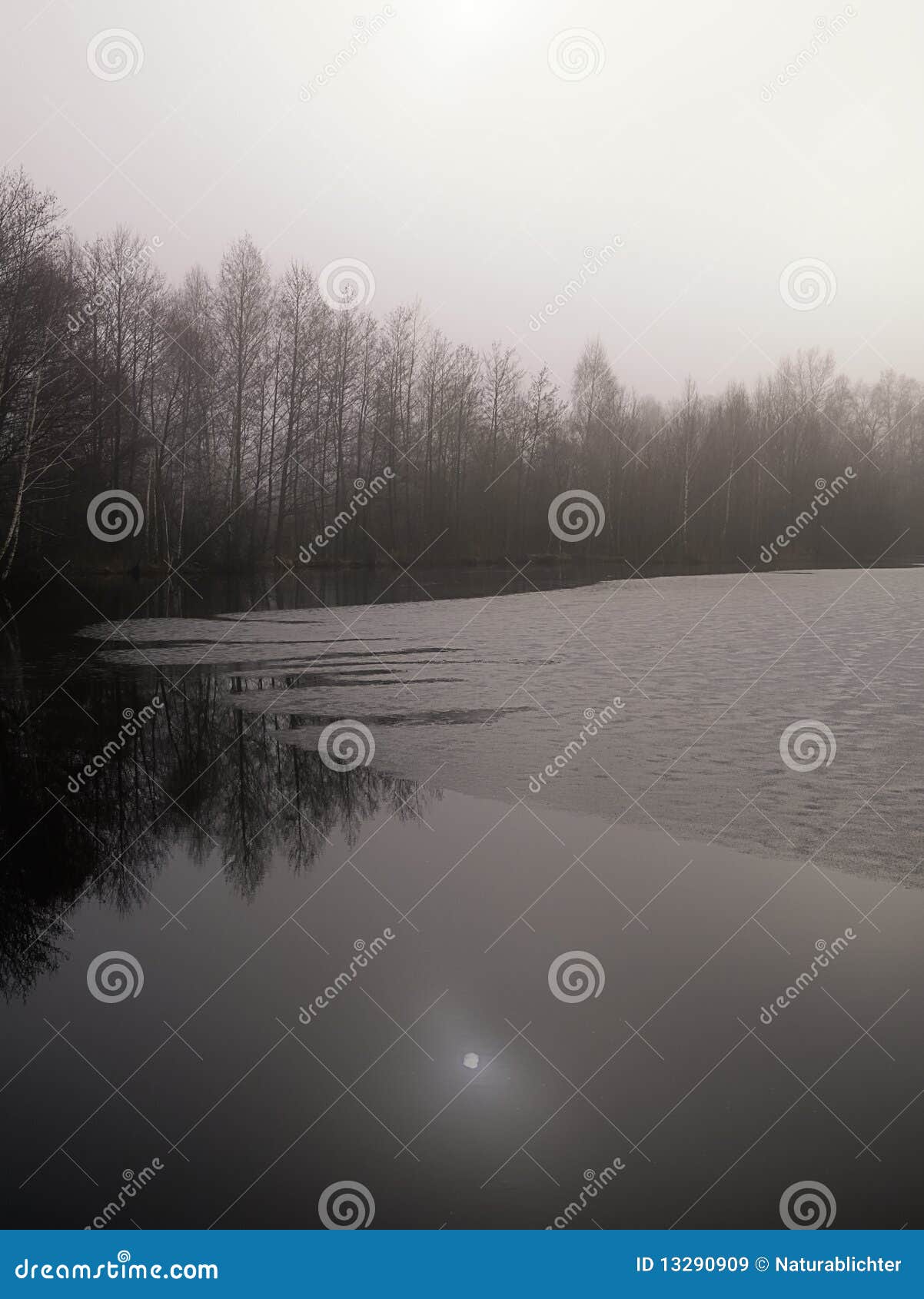 Wintry lake in countryside stock image. Image of ground - 13290909