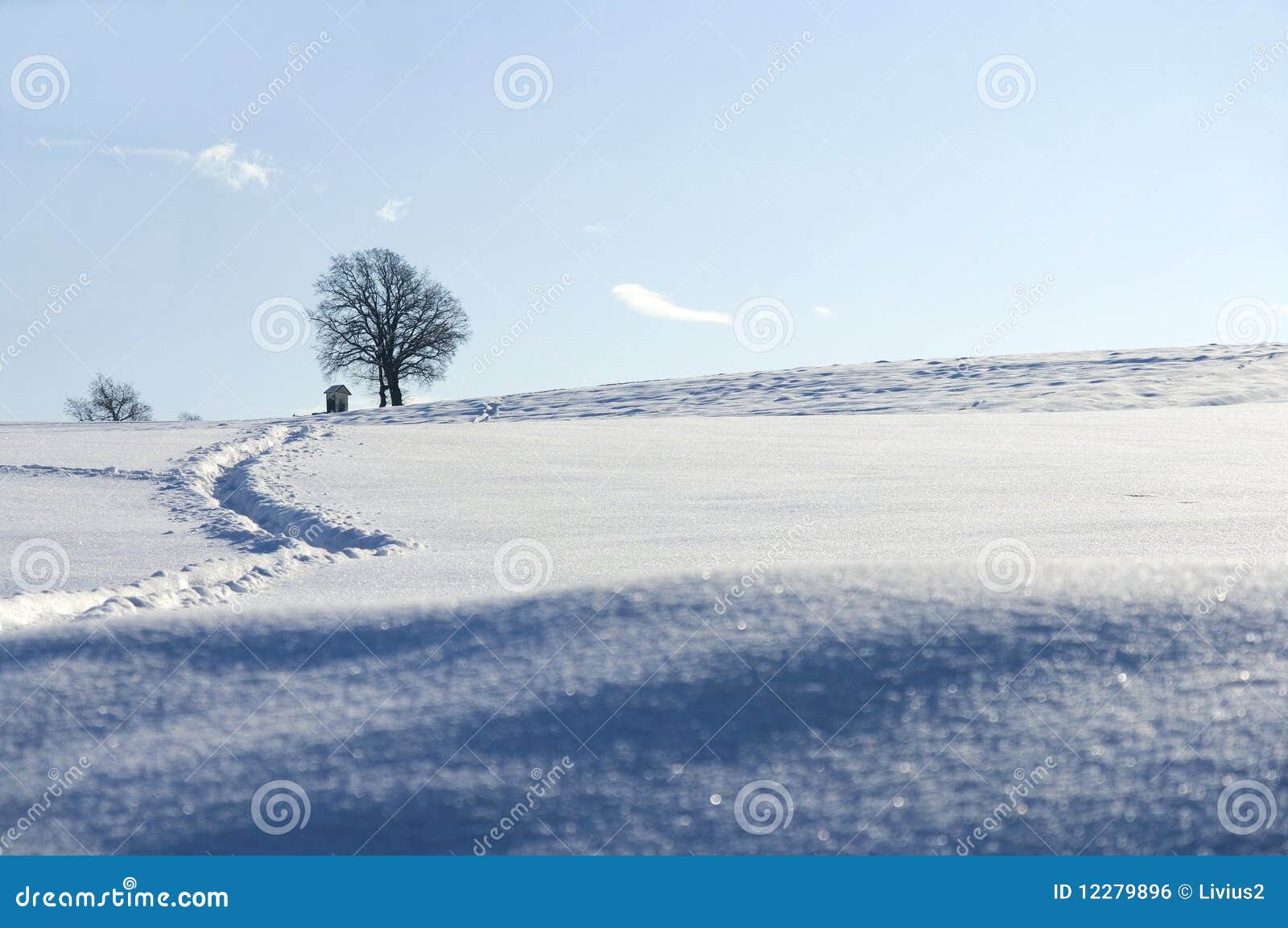 Wintry landscape stock photo. Image of season, alone - 12279896