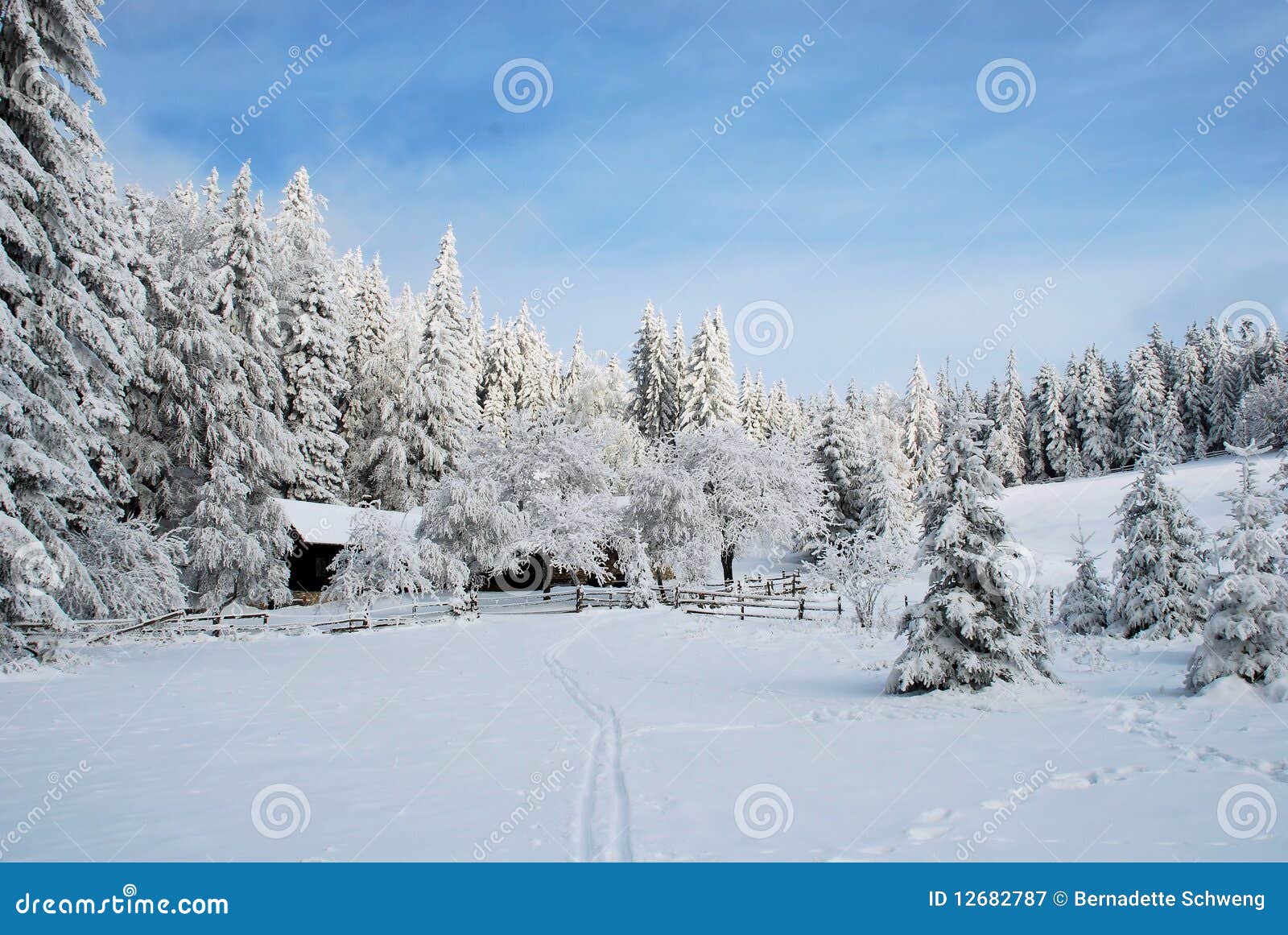 Wintry Landscape stock image. Image of scenery, wintry - 12682787