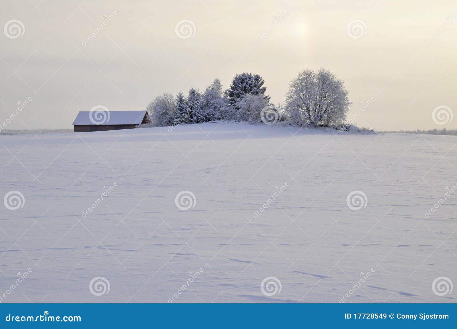 Wintry landscape stock image. Image of frozen, winter - 17728549