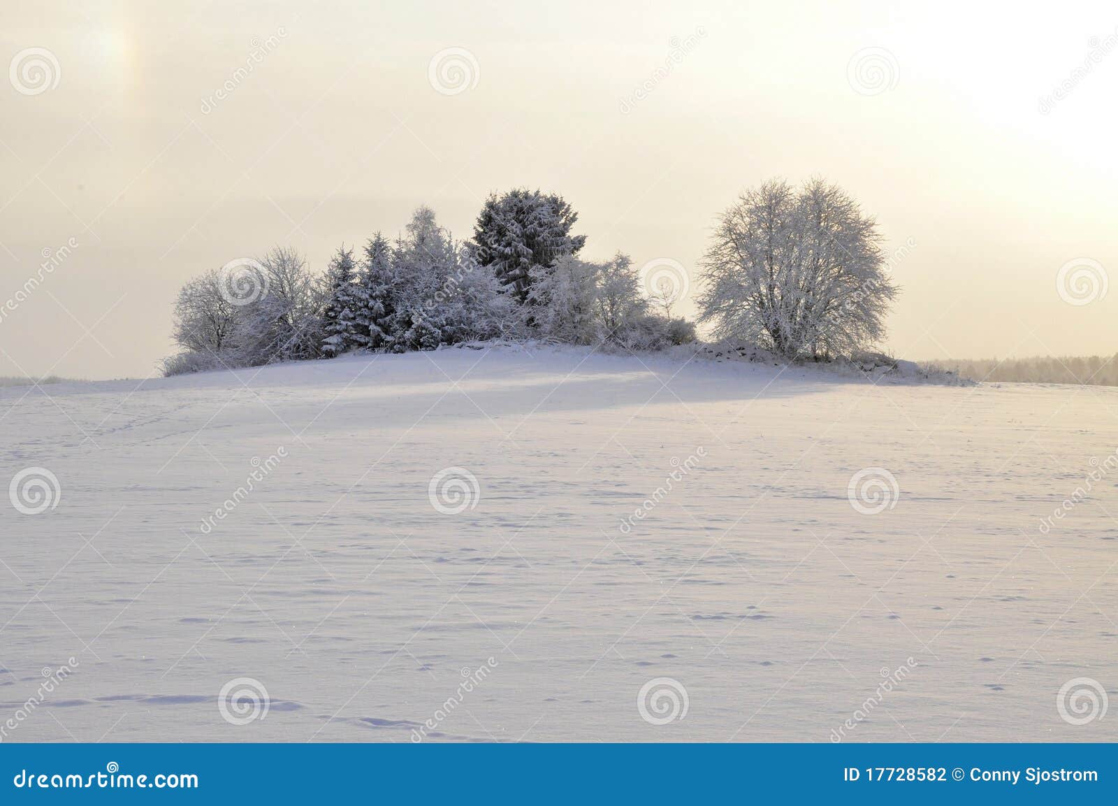Wintry landscape stock photo. Image of country, snow - 17728582