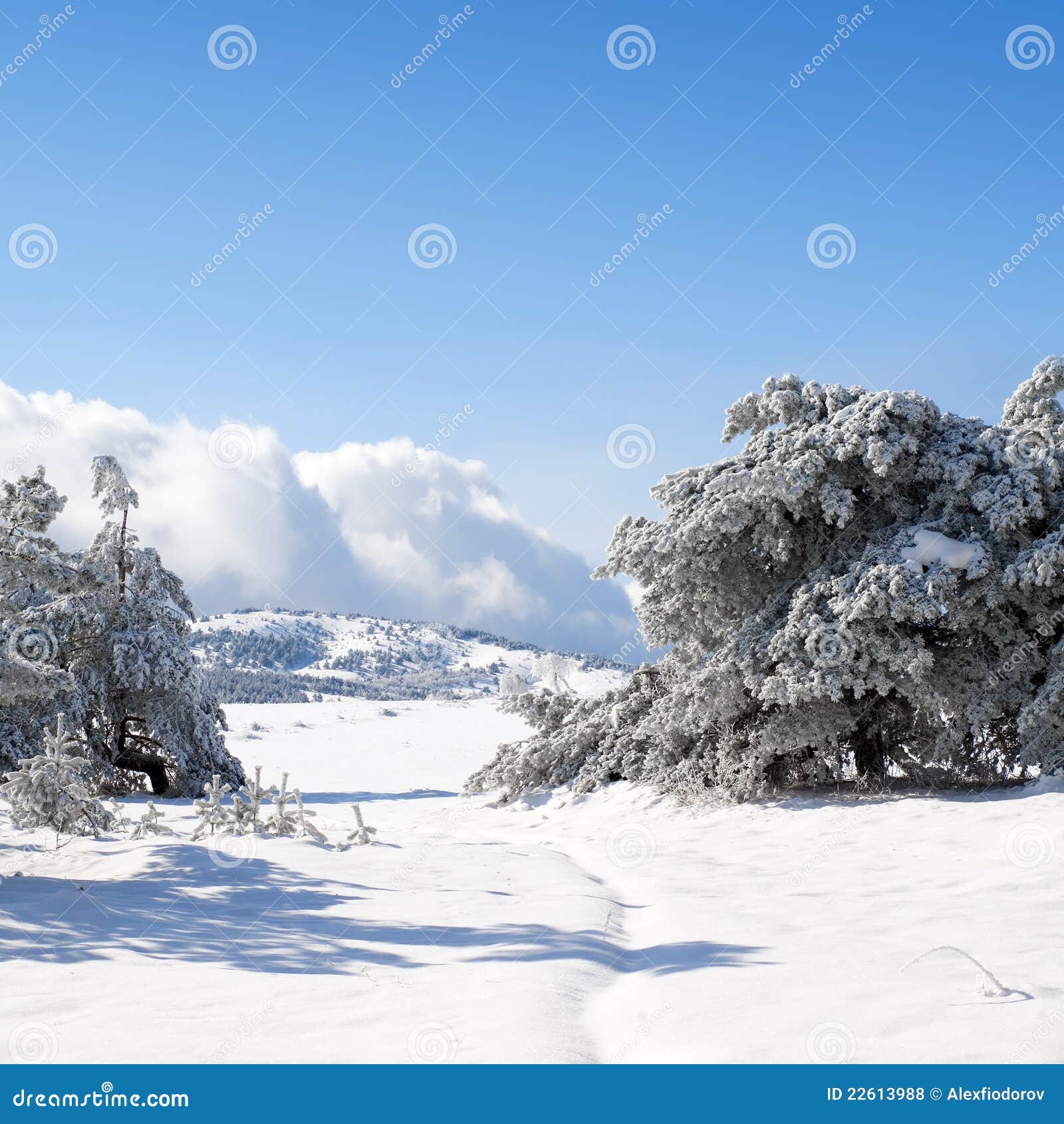 Wintry landscape. stock photo. Image of quiet, height - 22613988