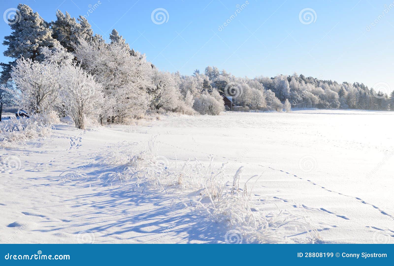 Wintry landscape stock image. Image of outdoors, snow - 28808199