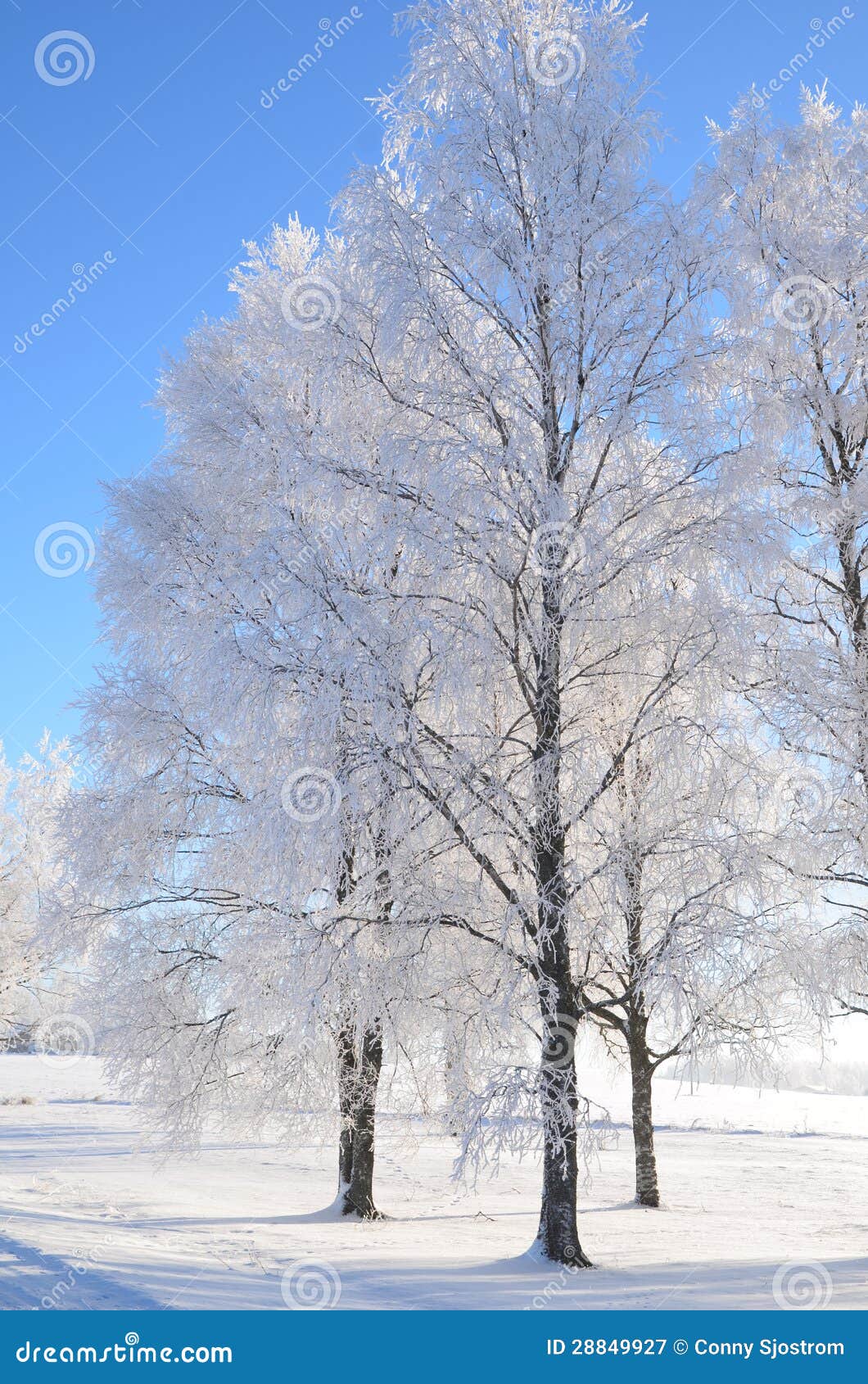 Wintry landscape stock image. Image of north, crystal - 28849927