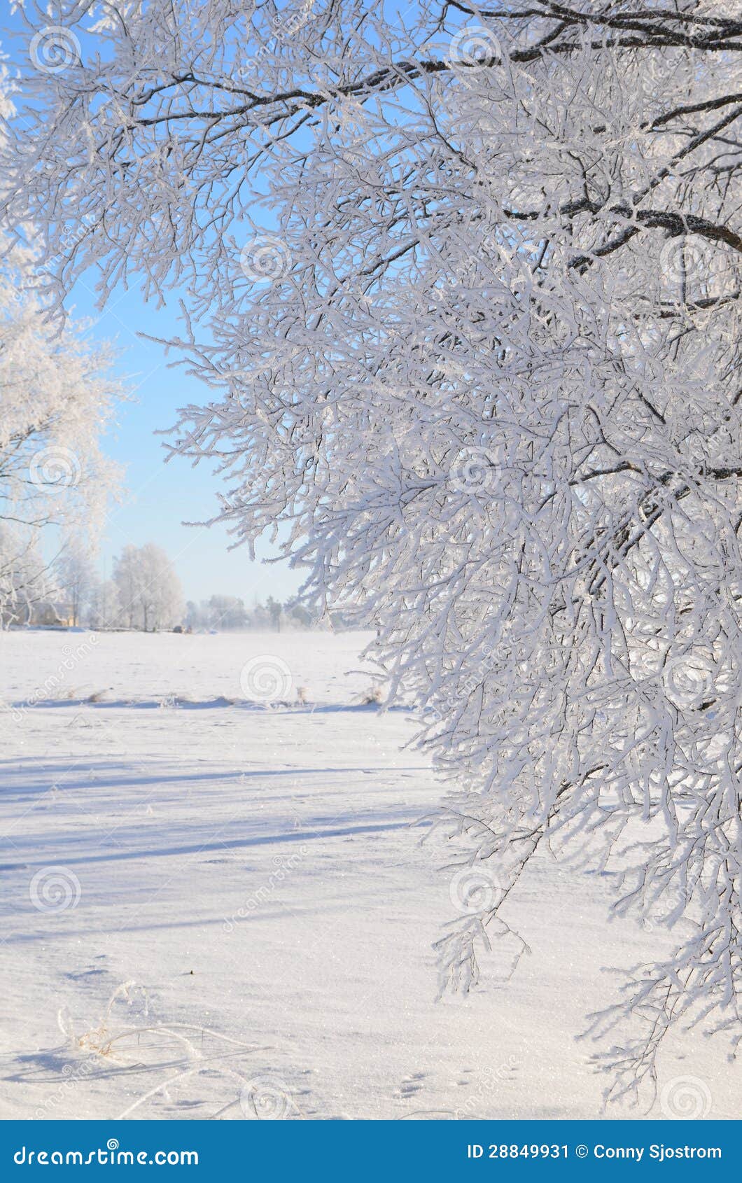 Wintry landscape stock image. Image of nordic, seasonal - 28849931