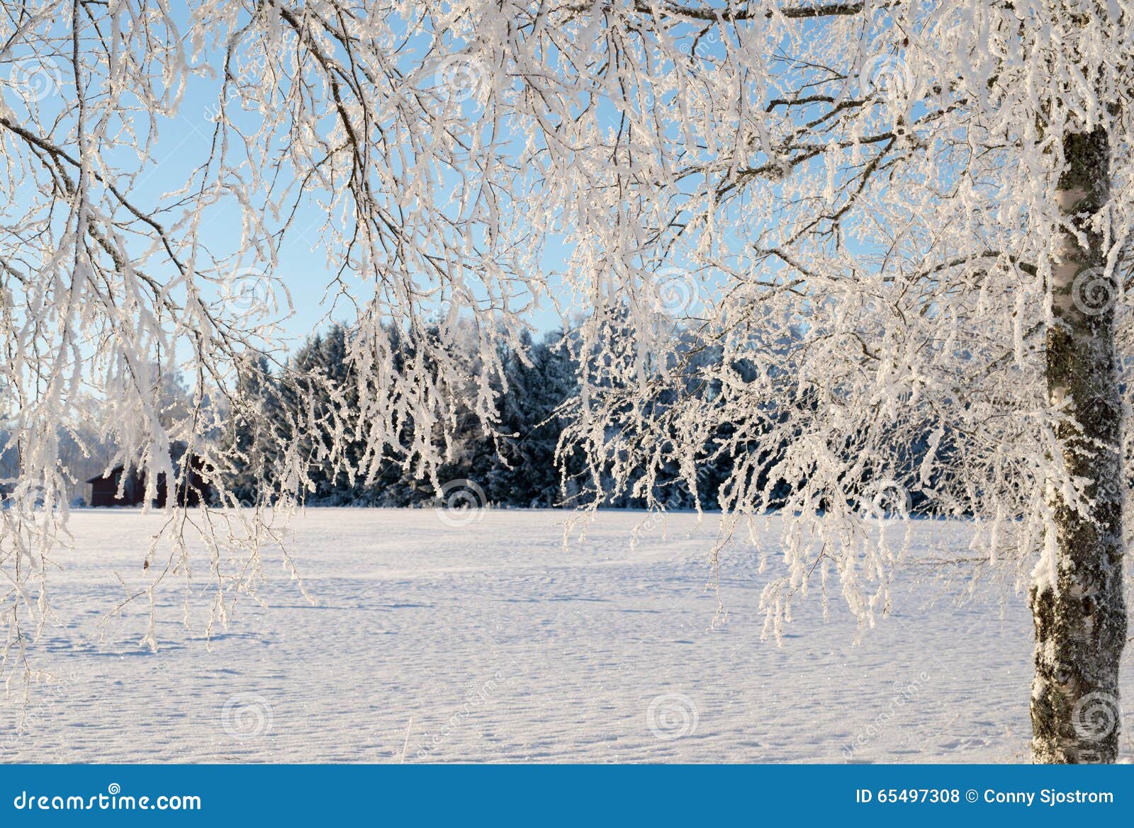Wintry landscape stock photo. Image of color, design - 65497308
