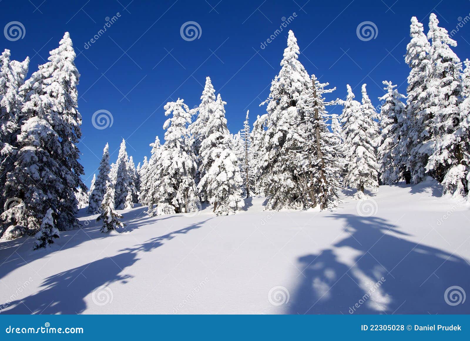 Wintry landscape scenery stock photo. Image of blue, snowbound - 22305028