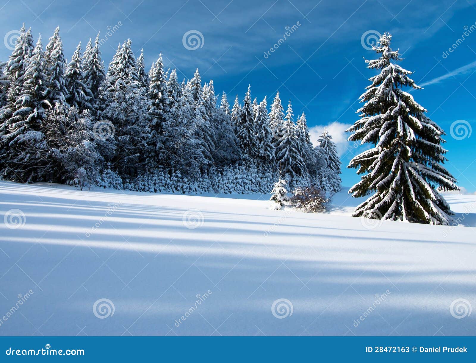 Wintry landscape scenery stock image. Image of flatcountry - 28472163