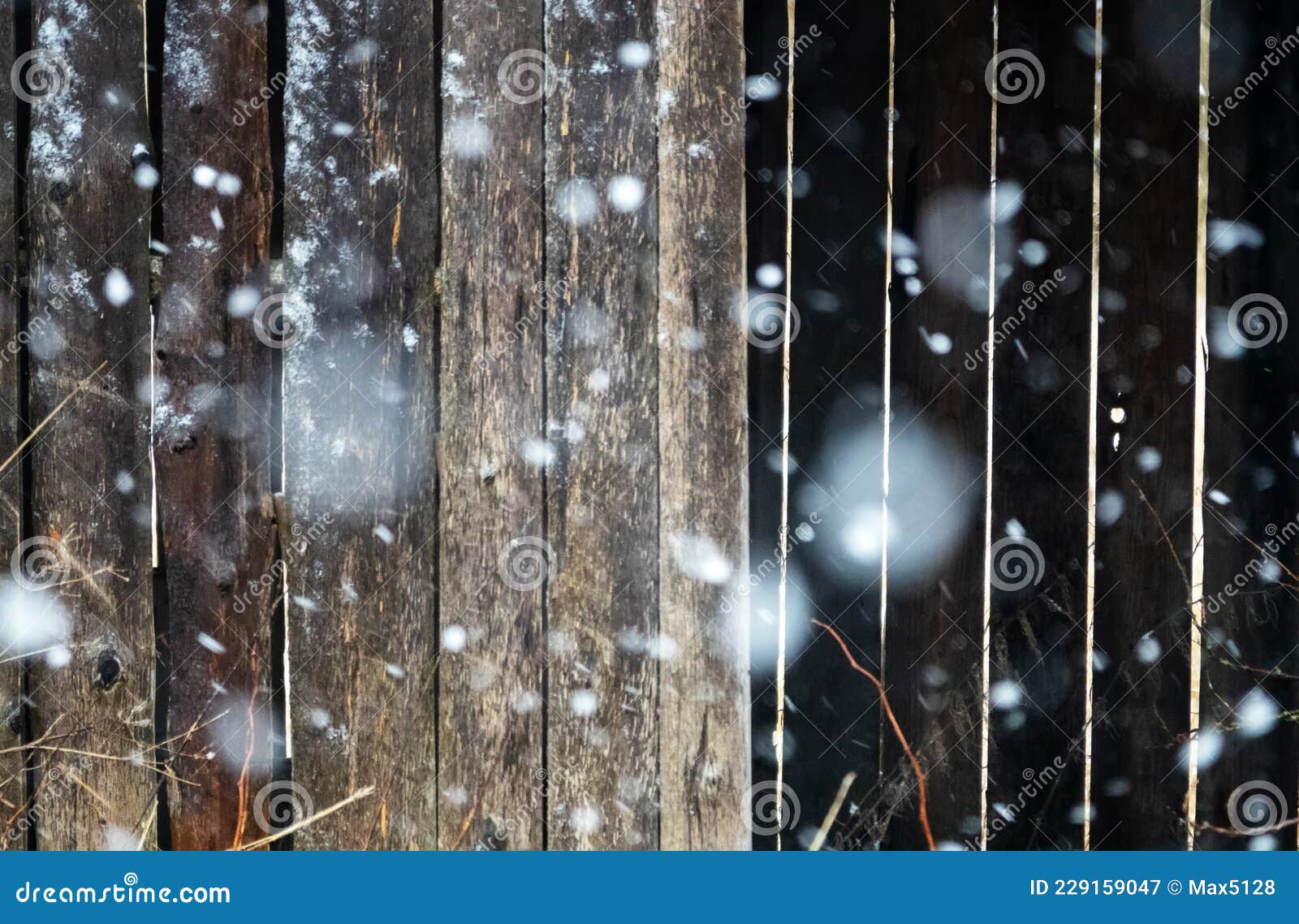 Wintry mix stock image. Image of downfall, forest, flake - 229159047