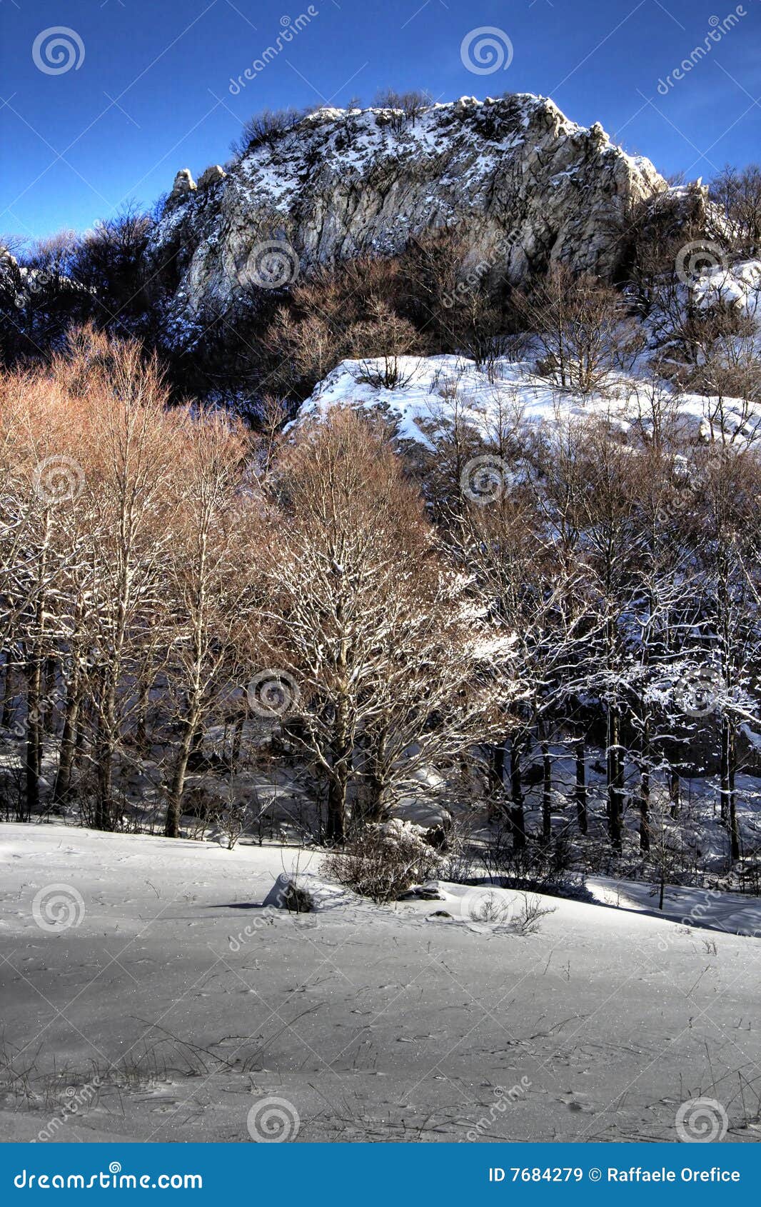 Wintry mountainous forest stock image. Image of trees - 7684279