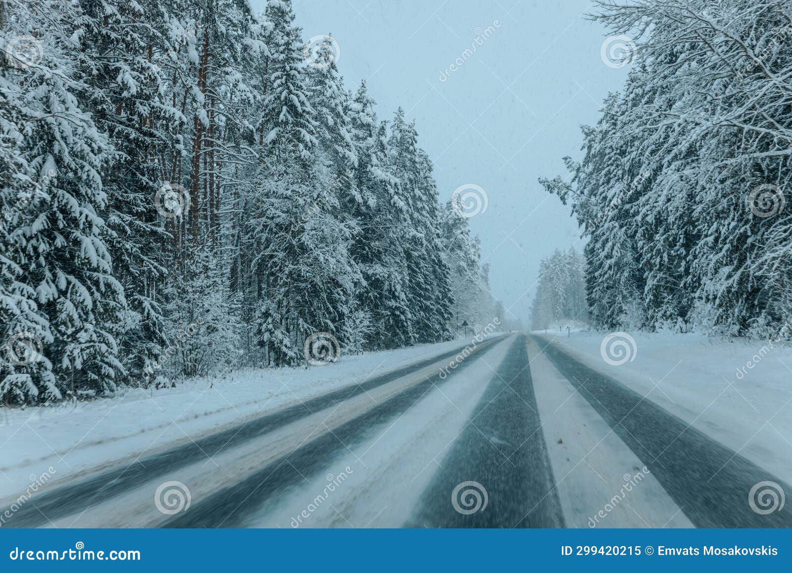 Wintry Path through a Chilly Forest with Snow Covered Trees. Winter ...
