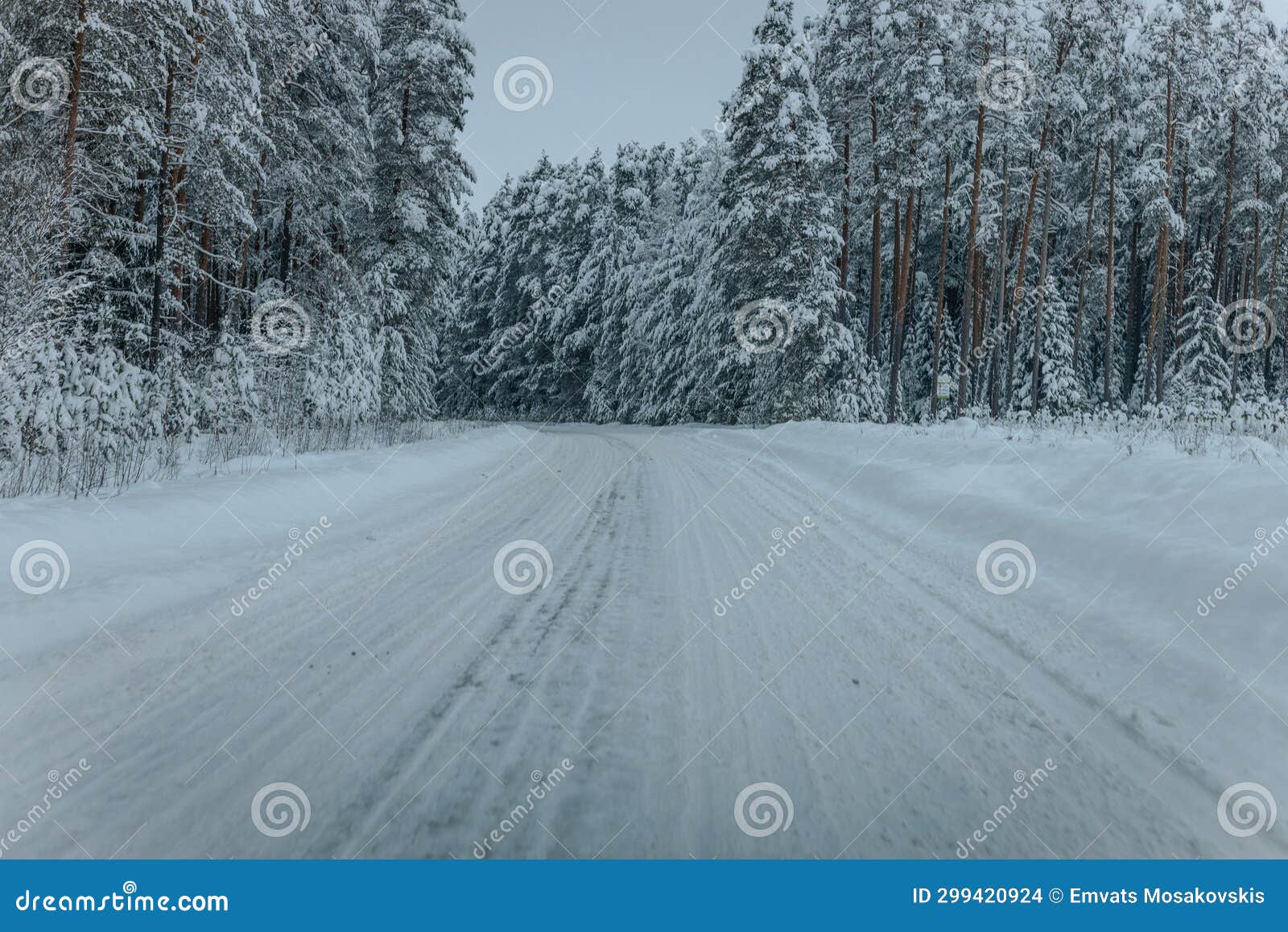 Wintry Path through a Chilly Forest with Snow Covered Trees. Winter ...