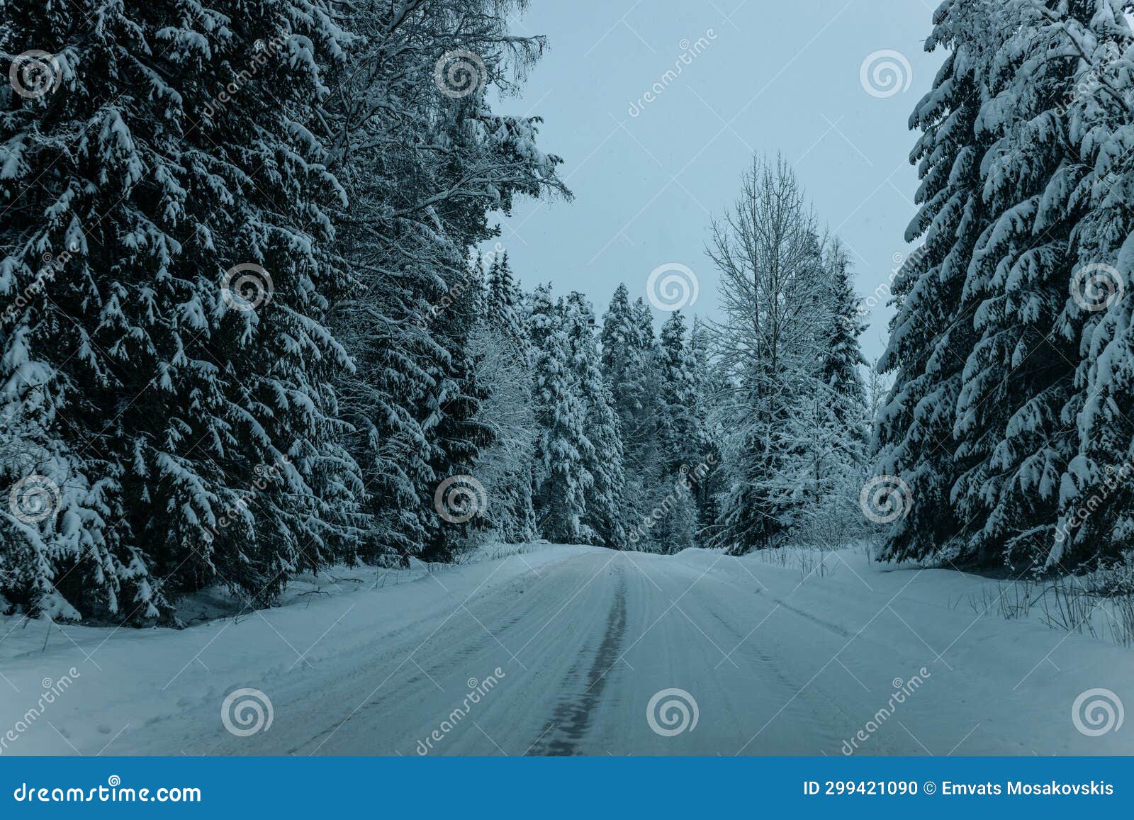 Wintry Path through a Chilly Forest with Snow Covered Trees. Winter ...